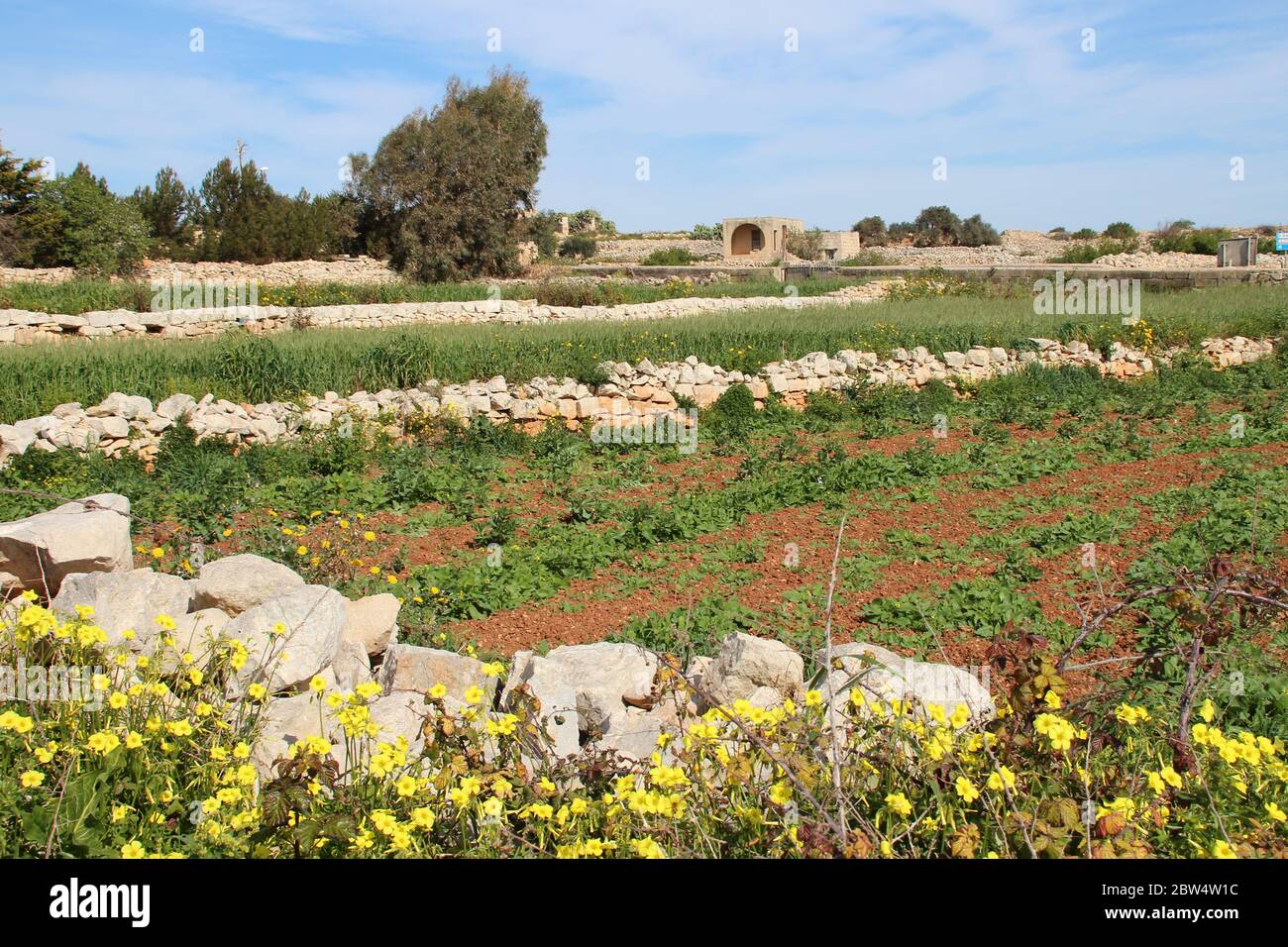 countryside in malta Stock Photo - Alamy