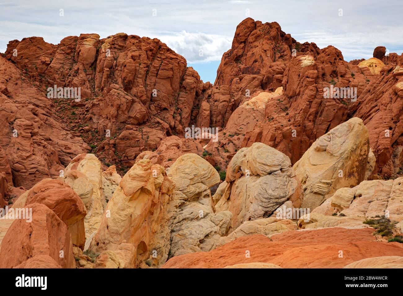 NV00207-00...NEVADA - Dramatic color changes in the sandstone along the ...