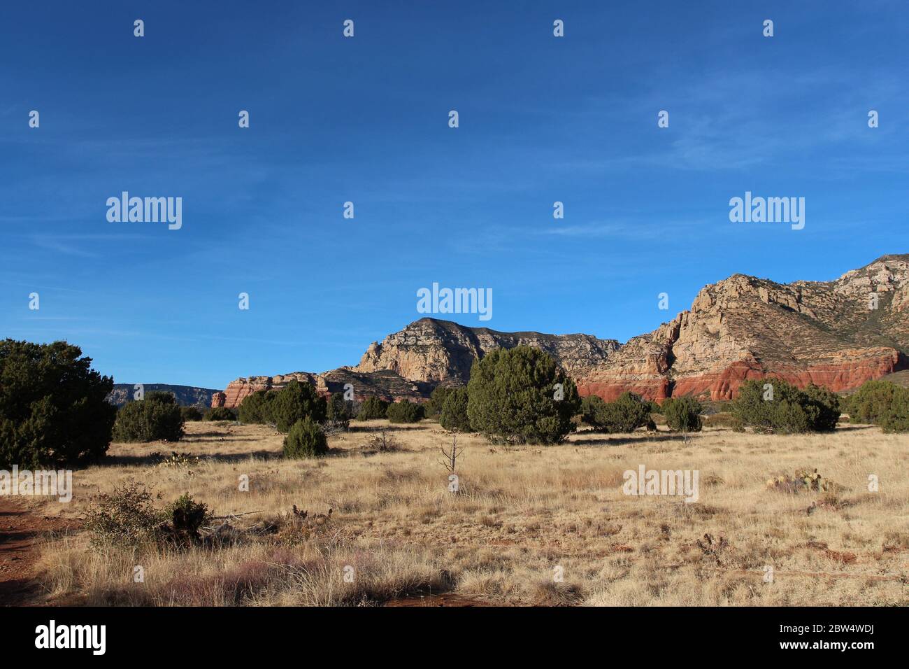 A prairie like plateau on the Brins Mesa Trail surrounded by red ...