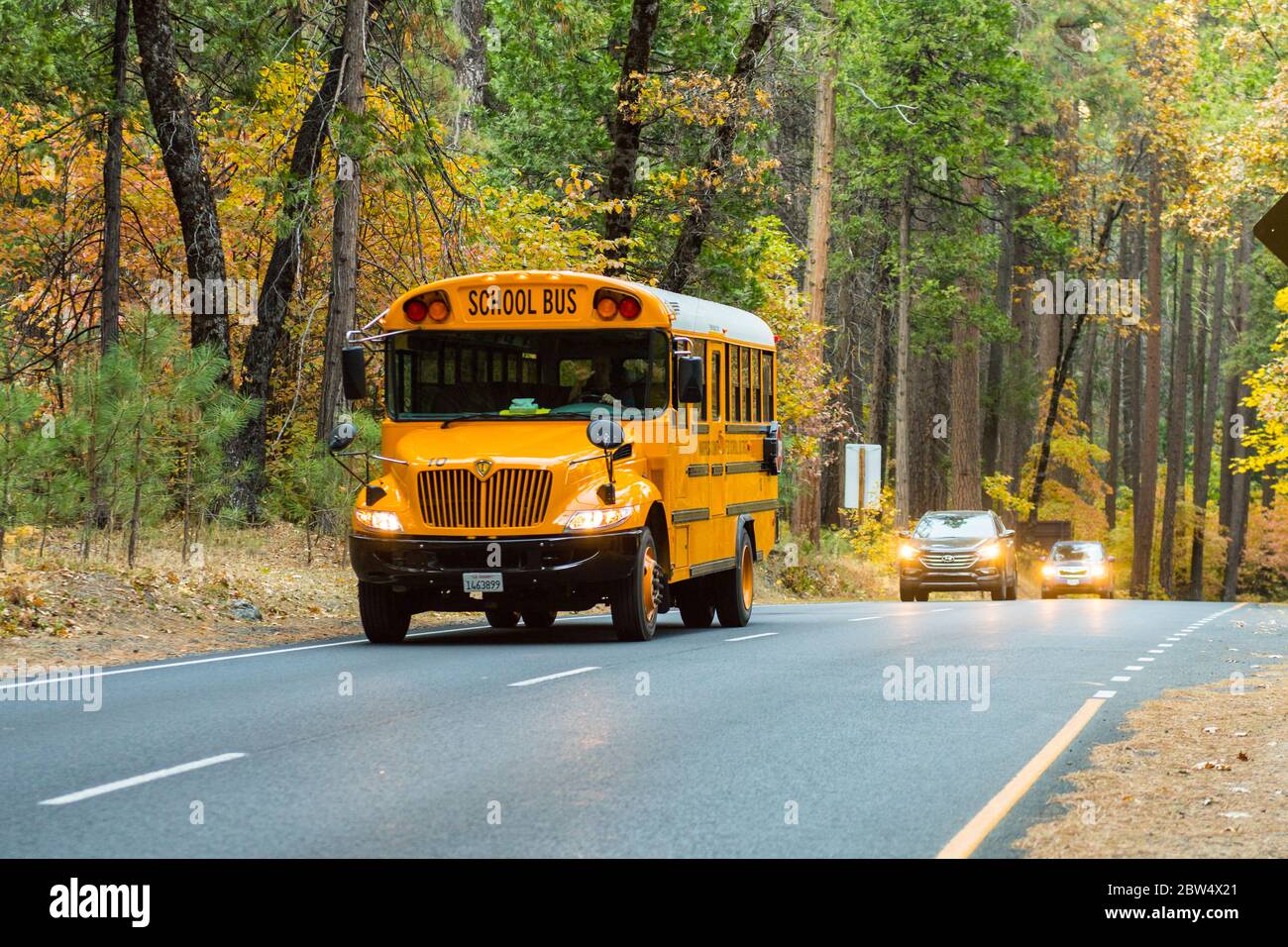 School bus on Northside drive in Yosemite National Park Stock Photo - Alamy