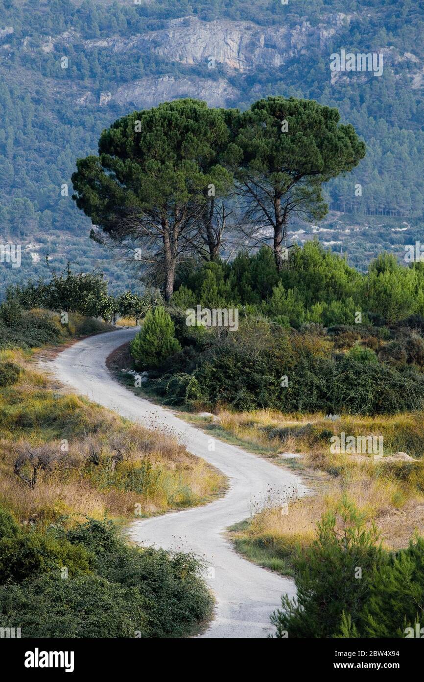 A small country road winds its way through grass and bushes and ...