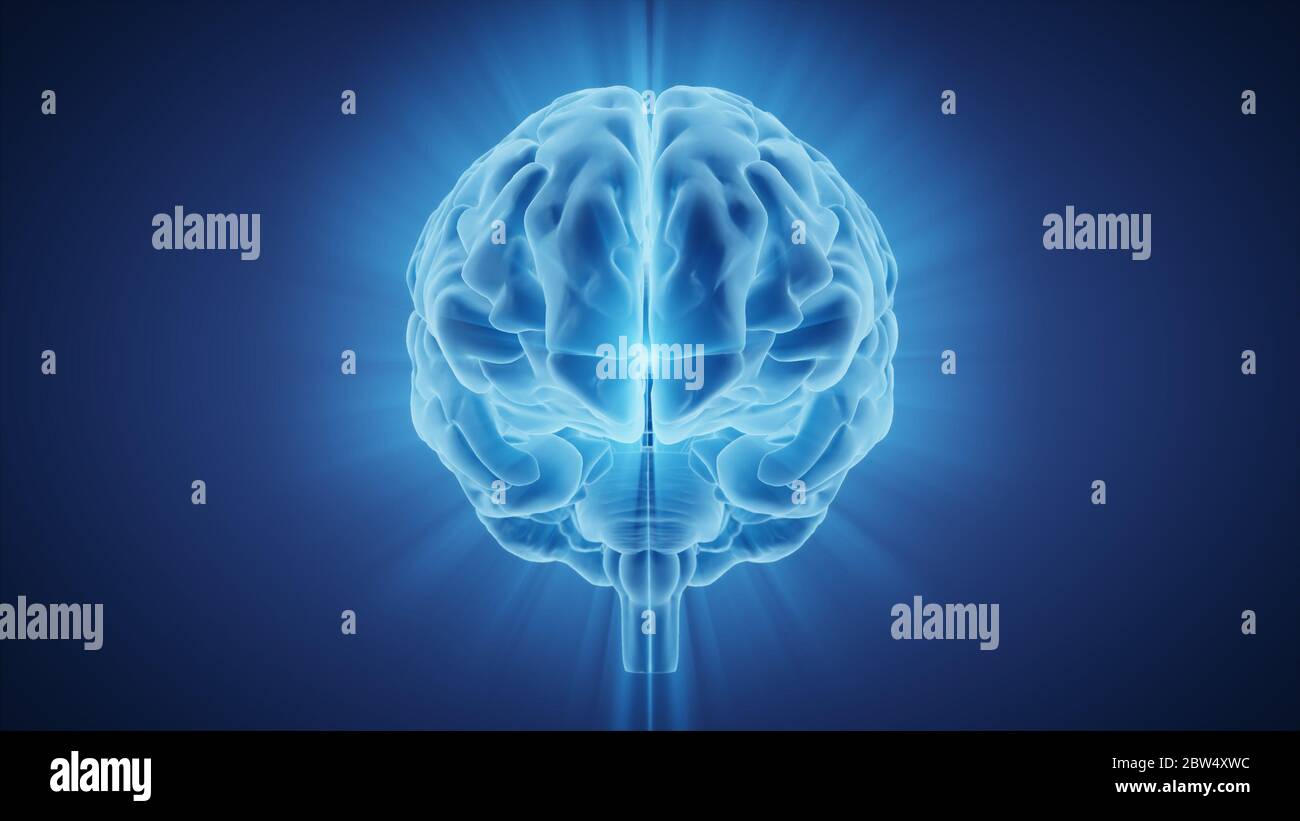 3d illustration human brain with convolutions and a radiance of light ...