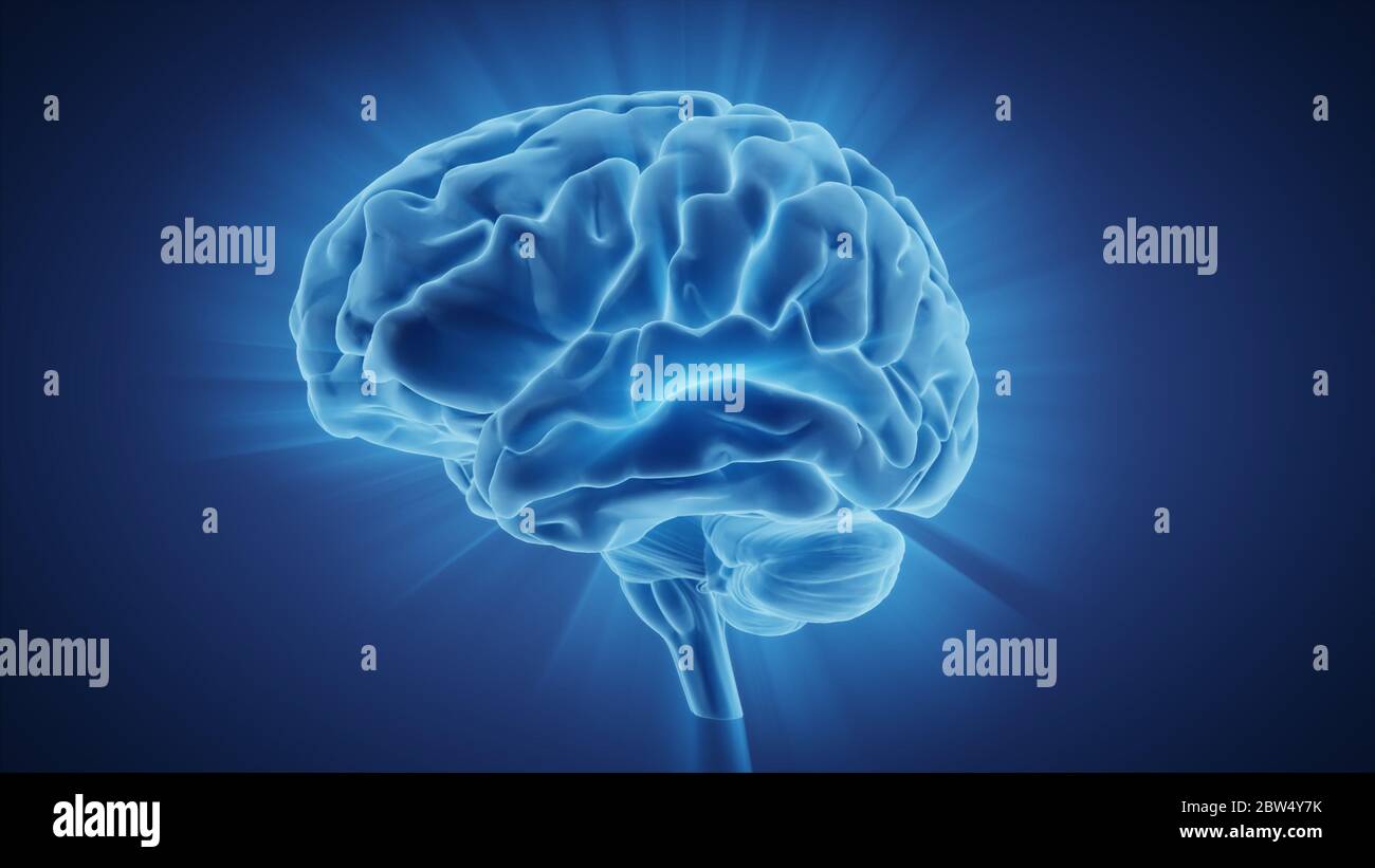 3d illustration human brain with convolutions and a radiance of light ...