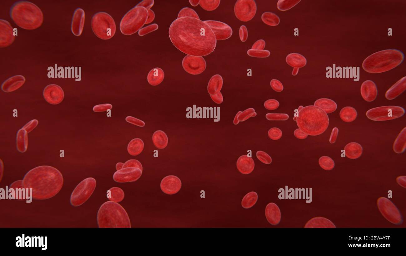 3d illustration blood structure. red blood cell, erythrocytes and ...