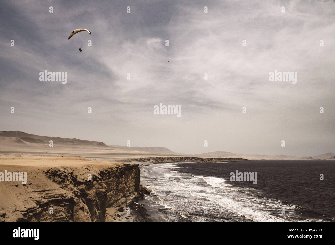 Flying sea glider hi-res stock photography and images - Alamy