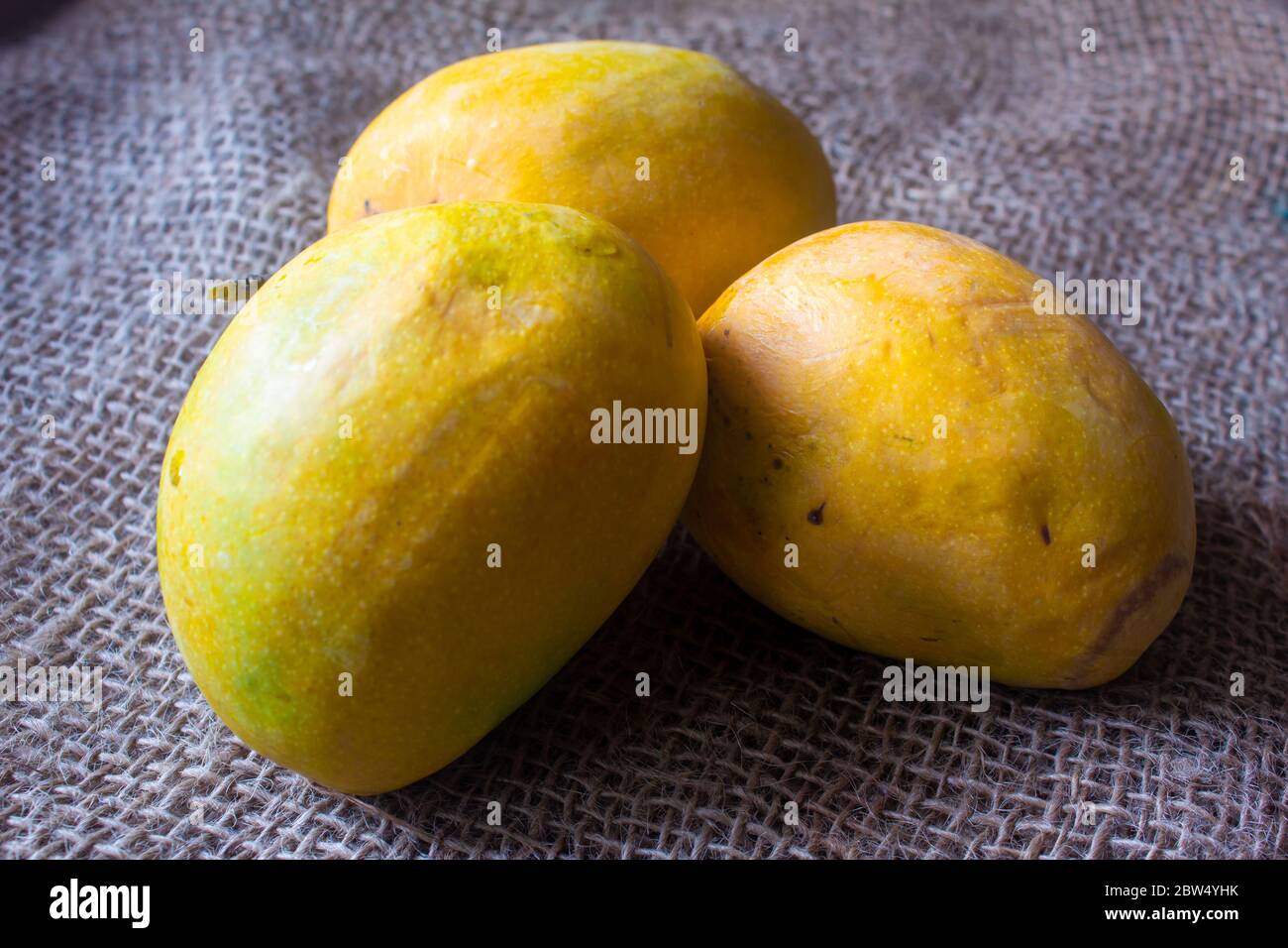 View of yellow and ripe Alphonso mangoes Stock Photo - Alamy