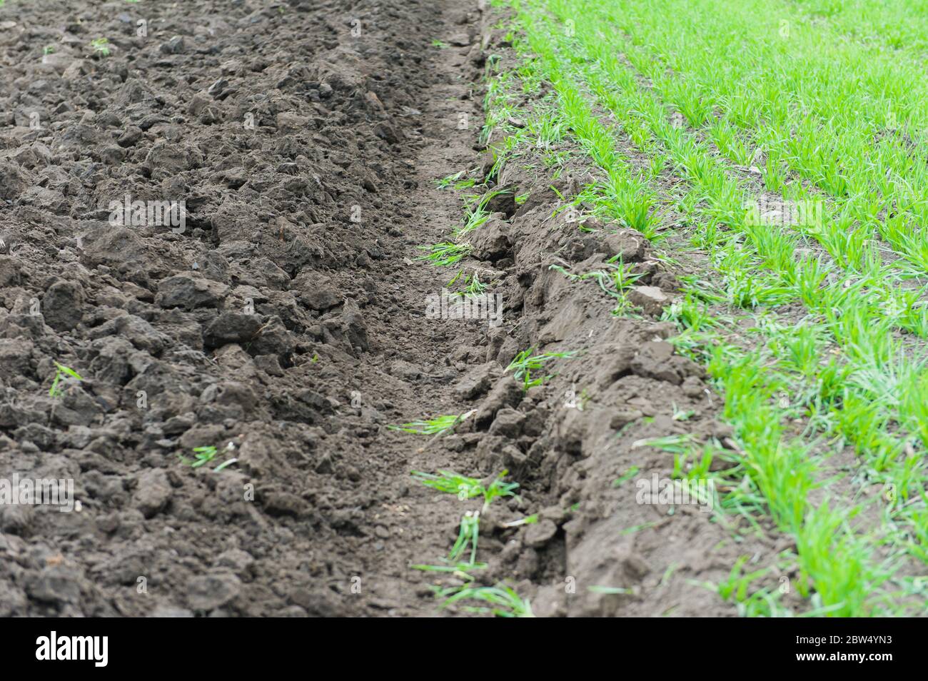 Moat row hi-res stock photography and images - Alamy