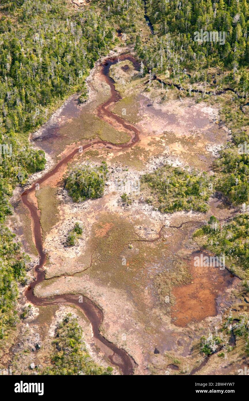 Boggy marsh hi-res stock photography and images - Alamy
