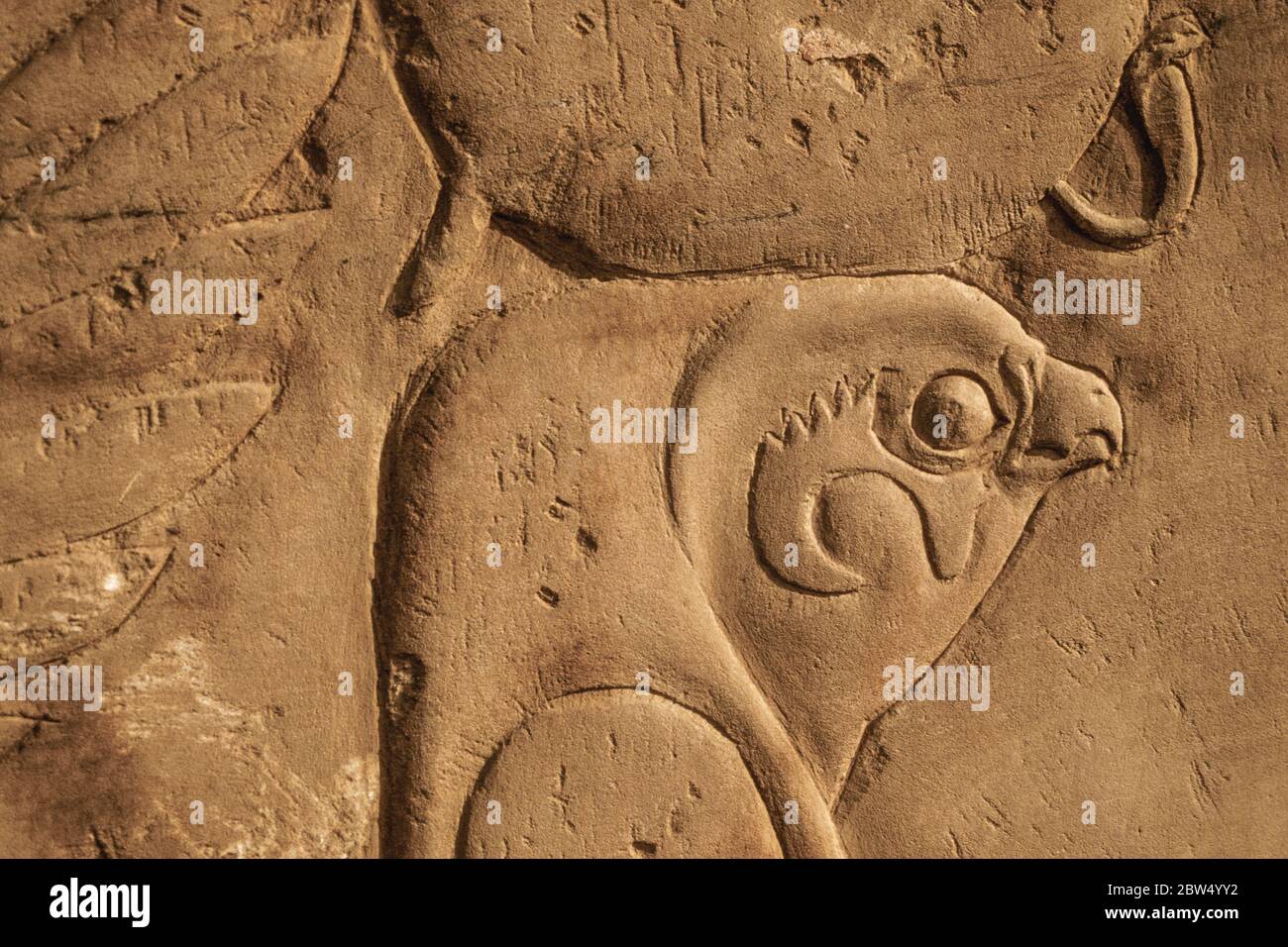 Head of hawk depicting an ancient Egyptian mythological god carved on ...