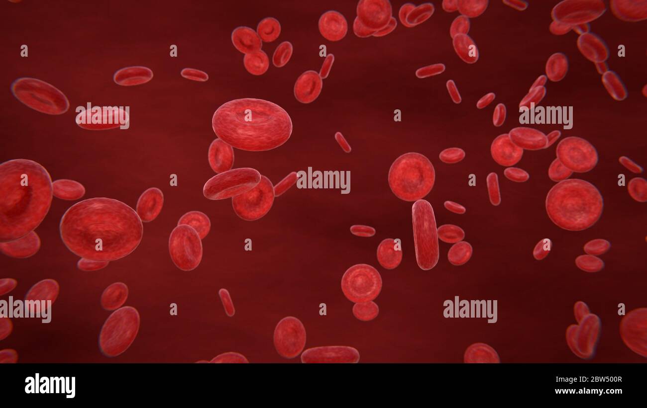 3d illustration blood structure. red blood cell, erythrocytes and ...