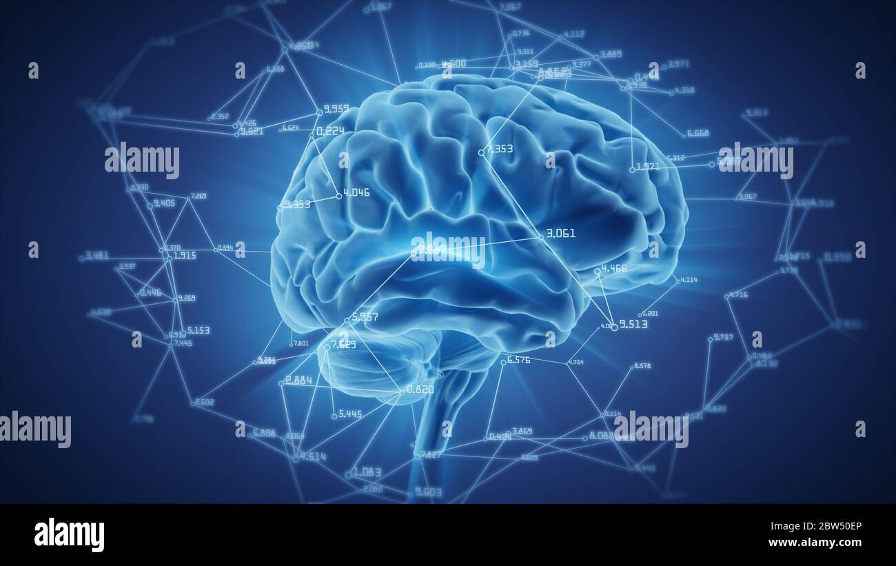 3d illustration brain with computational and mathematical data Stock ...