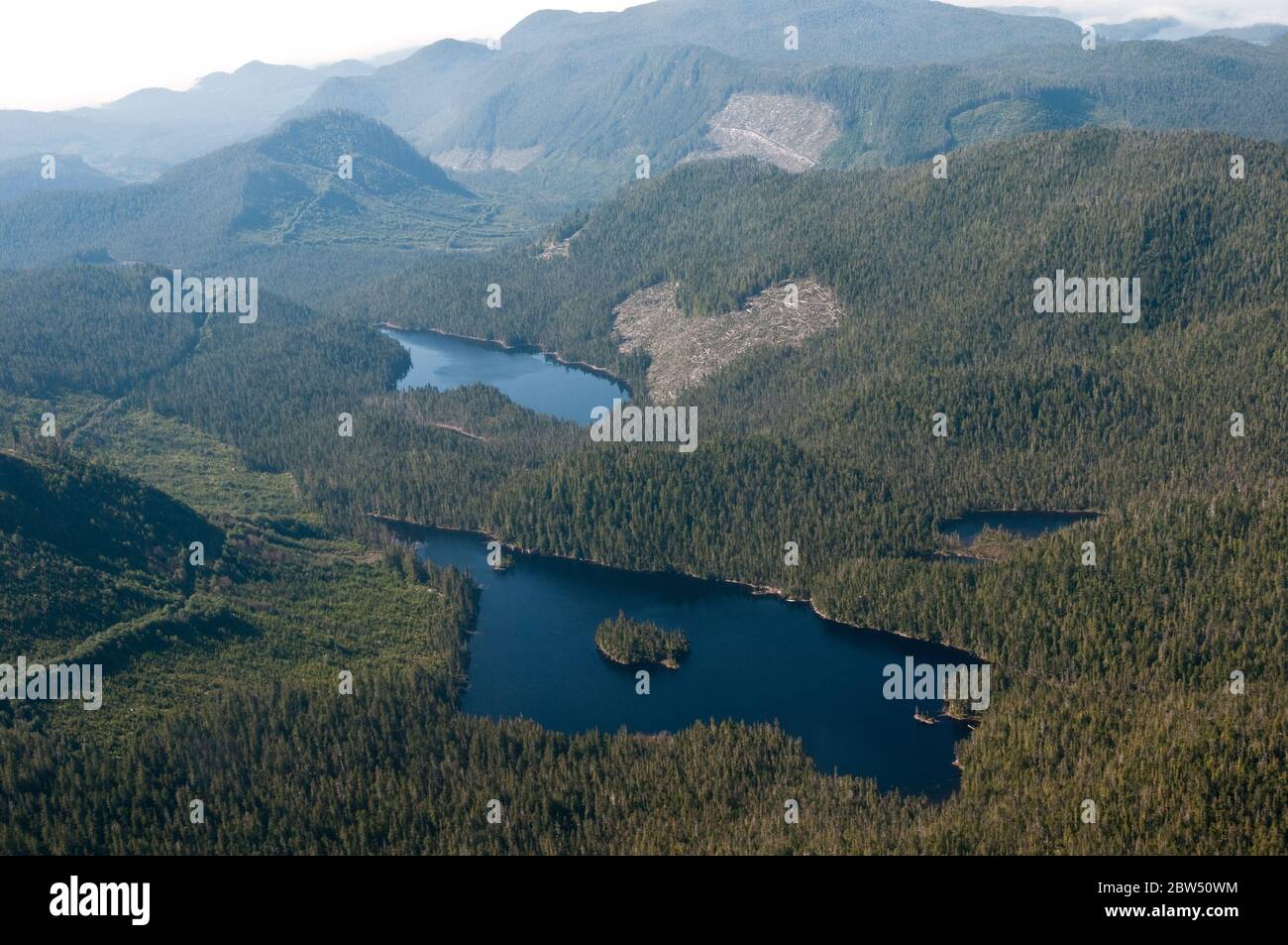 Rainforest deforestation aerial view hi-res stock photography and ...