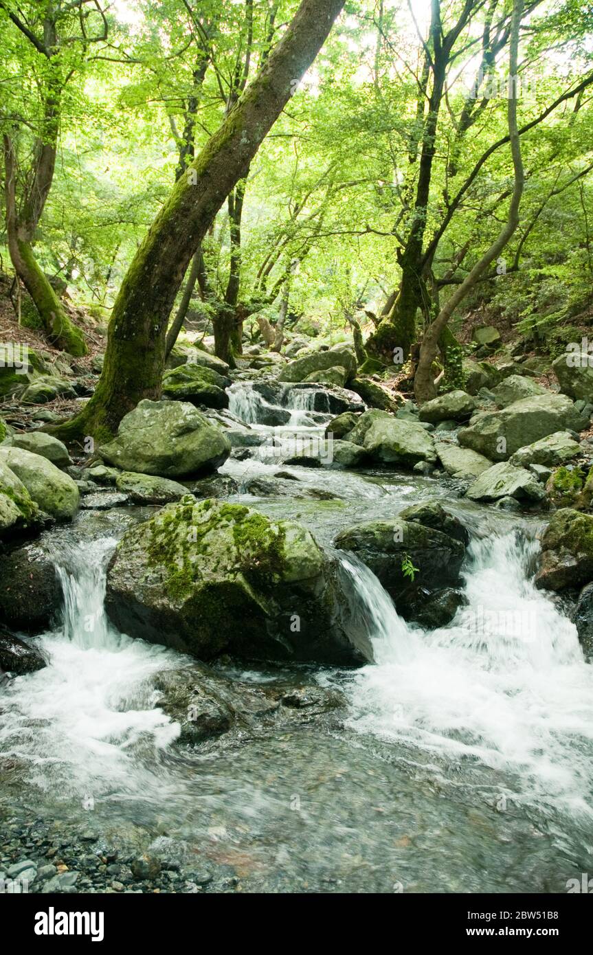 The spring fed Fonias River, on the northern Greek island of Samothraki ...