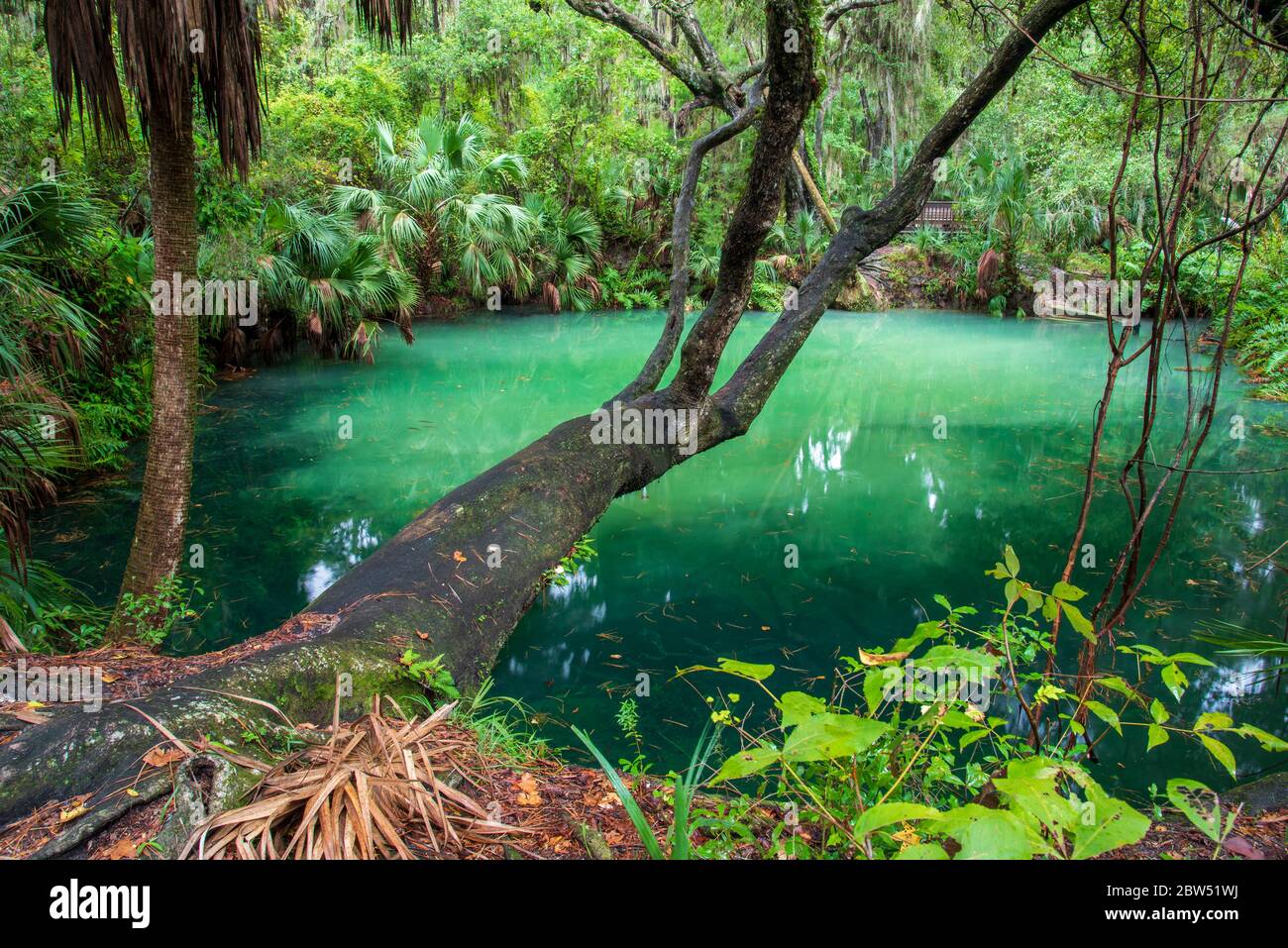 Springs water hi-res stock photography and images - Alamy