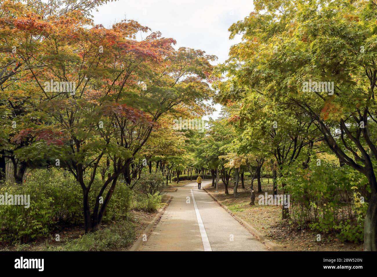 Peaceful park hi-res stock photography and images - Alamy