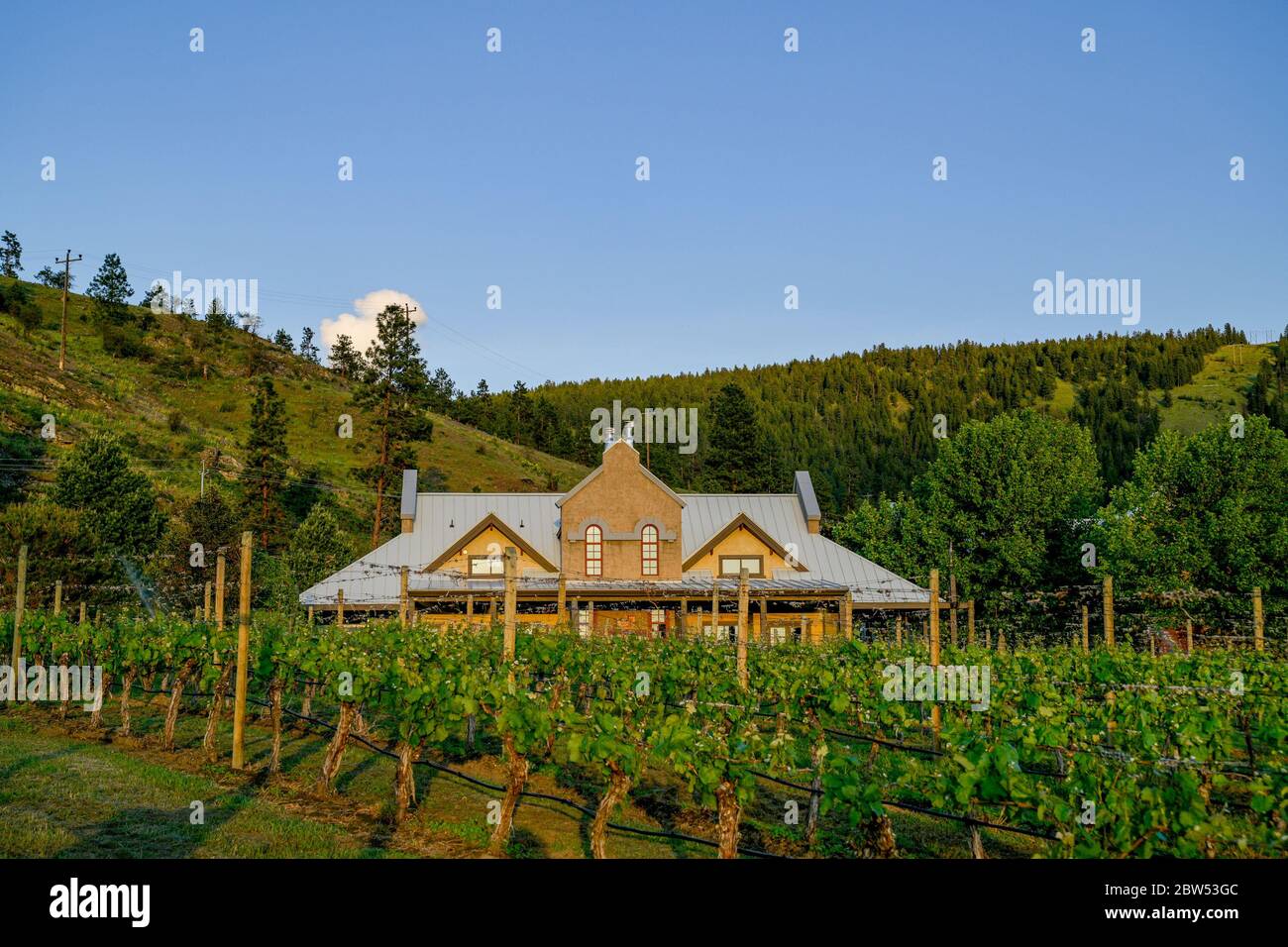 Red Rooster winery, vineyard, Naramata Bench, Penticton, British ...