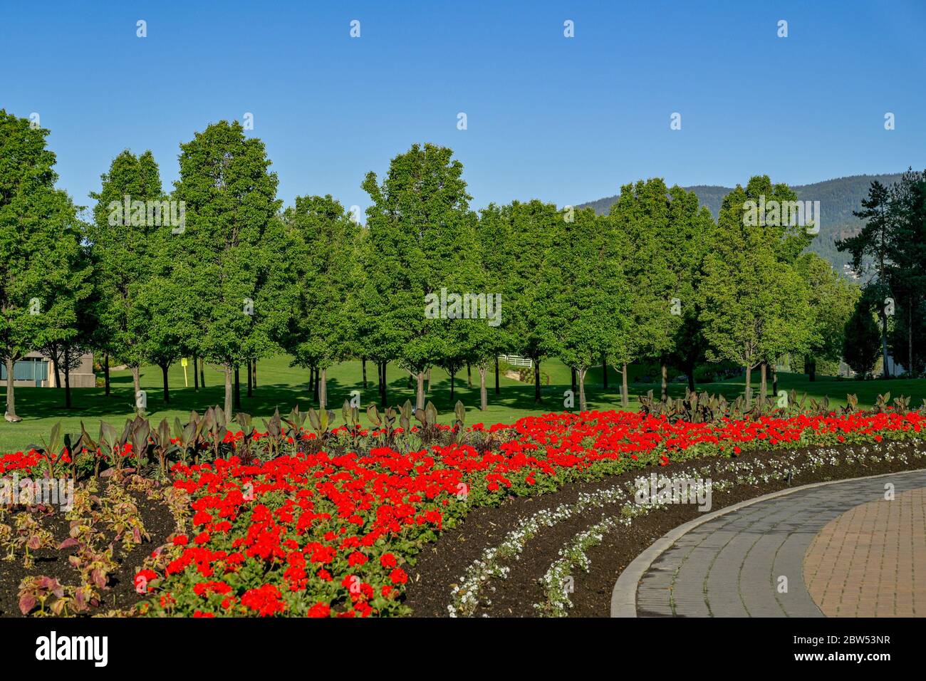 British columbia waterfront flowers hi-res stock photography and images ...