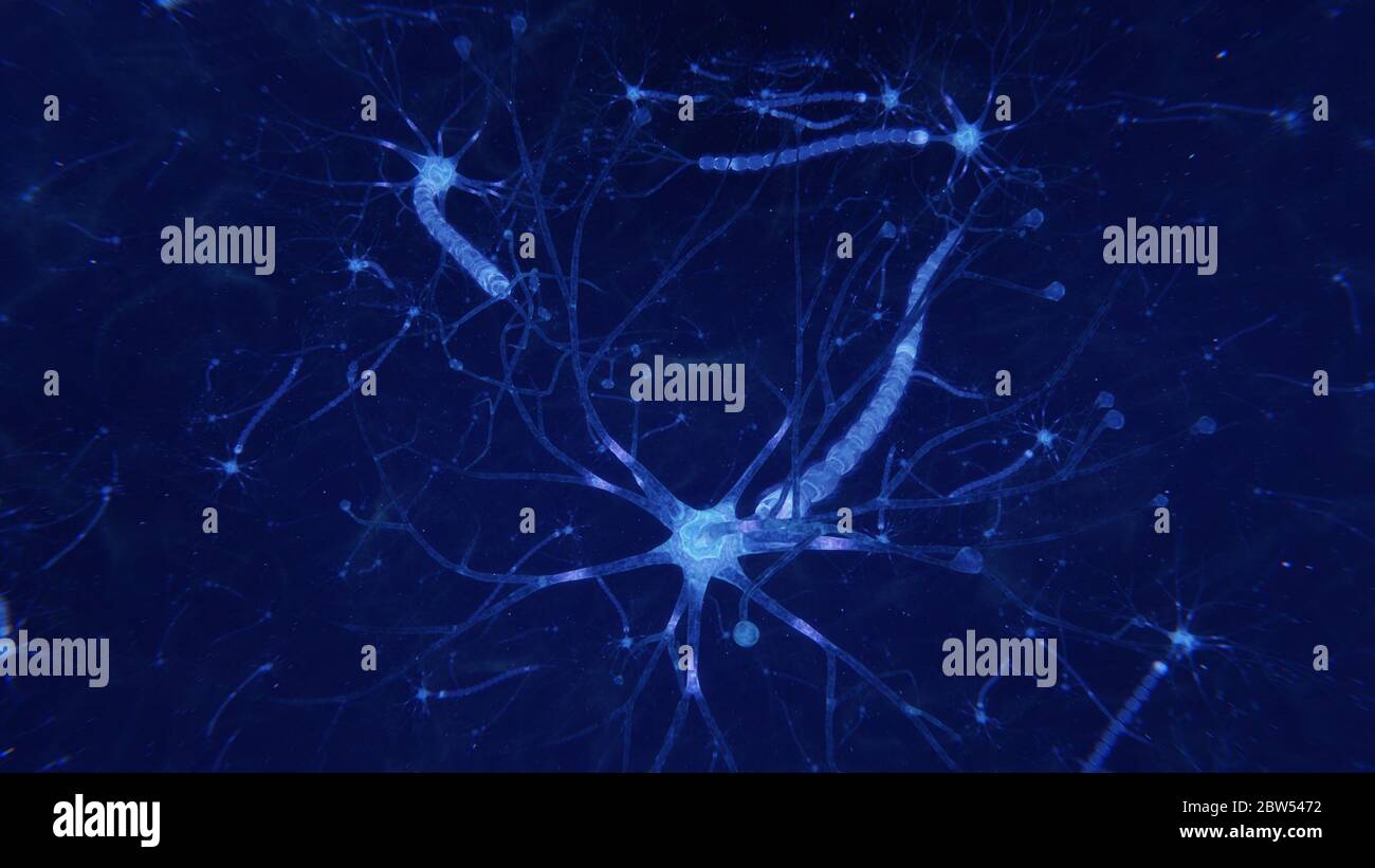 3d illustration brain neurons with synapses and axons Stock Photo - Alamy