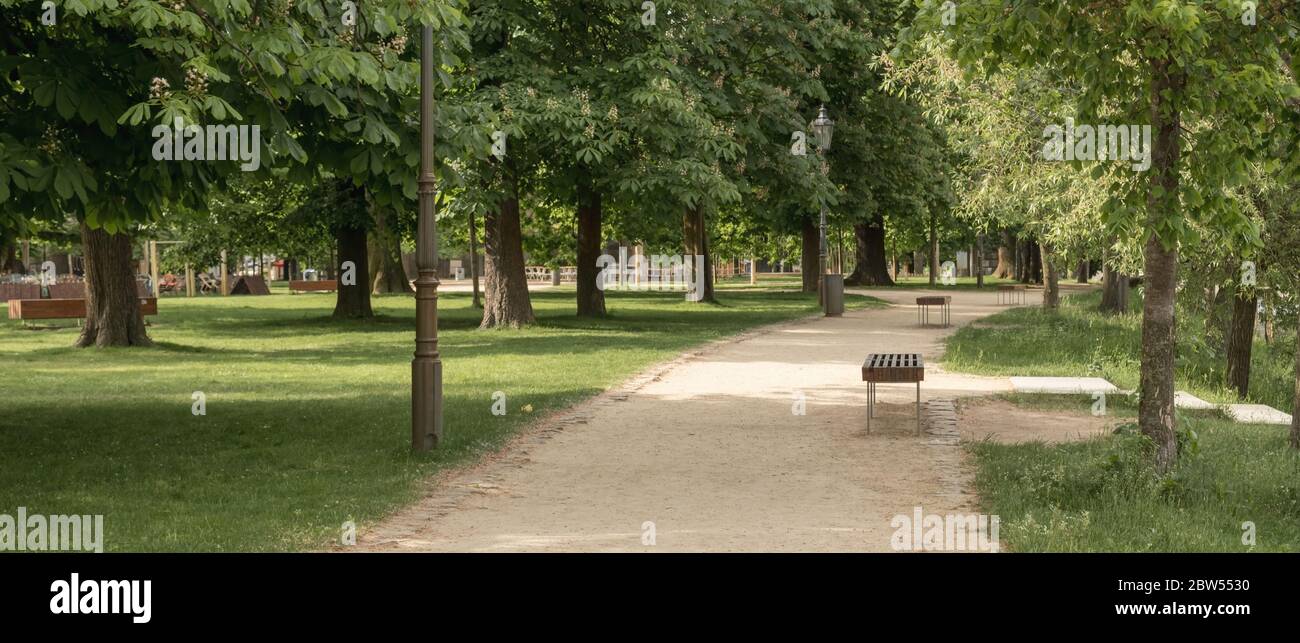 A path with benches in a park Stock Photo - Alamy