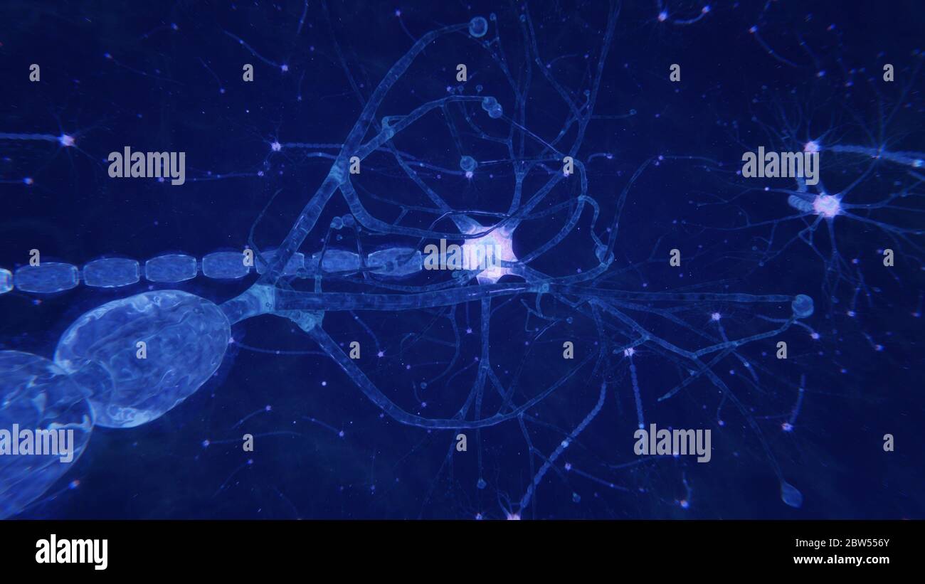 3d illustration brain neurons with synapses and axons Stock Photo - Alamy