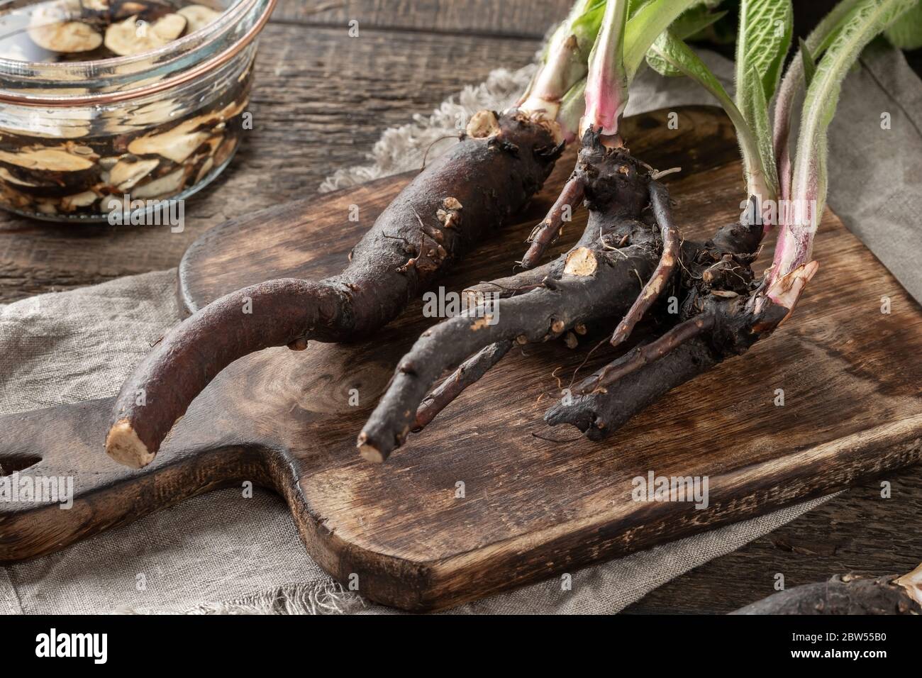 Comfrey root with young leaves collected in spring, with tincture in ...