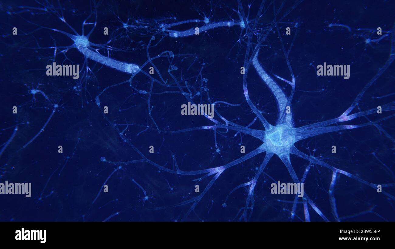 3d illustration brain neurons with synapses and axons Stock Photo - Alamy