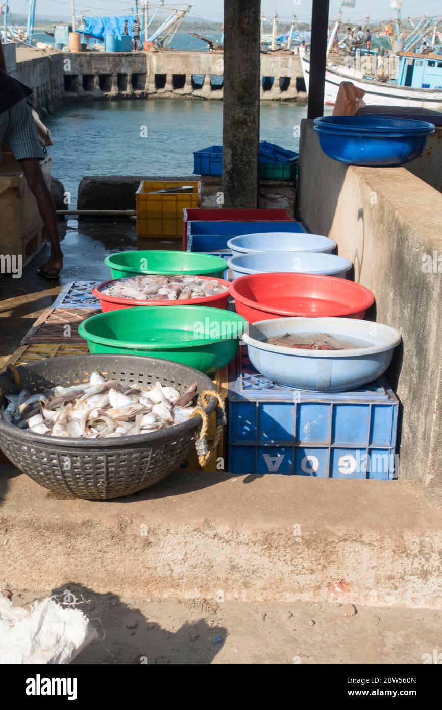 Chapora river hi-res stock photography and images - Alamy