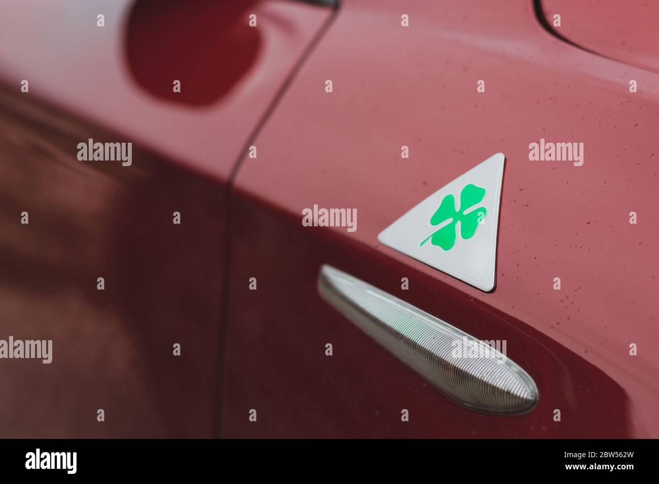 Green four leaf clover representing "quadrifoglio" in italian, sport ...