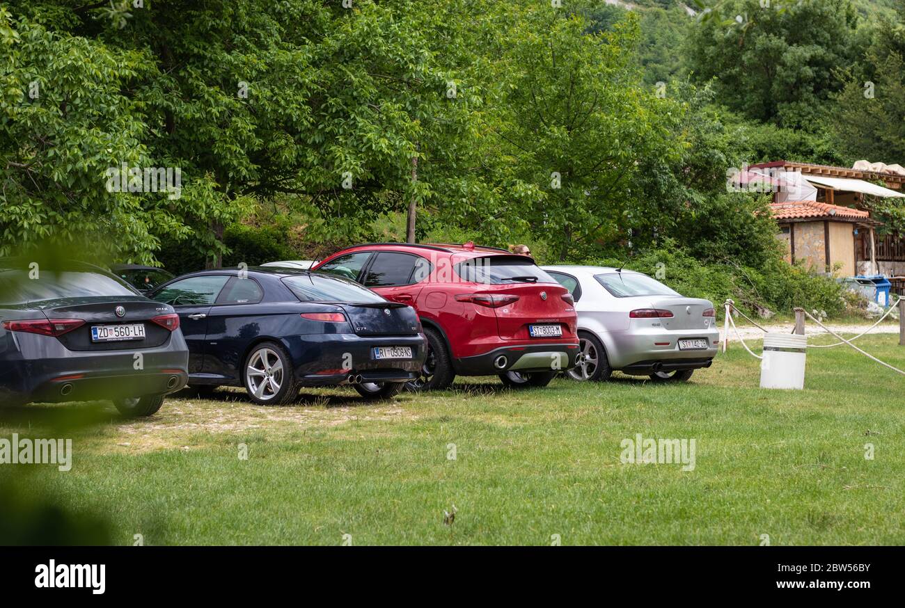 Rear view of multiple Alfa Romeos parked on a car show. Stelvio, 159 ...