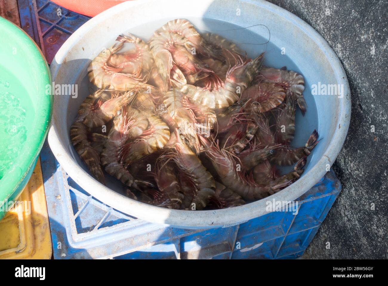 Chapora jetty hi-res stock photography and images - Alamy