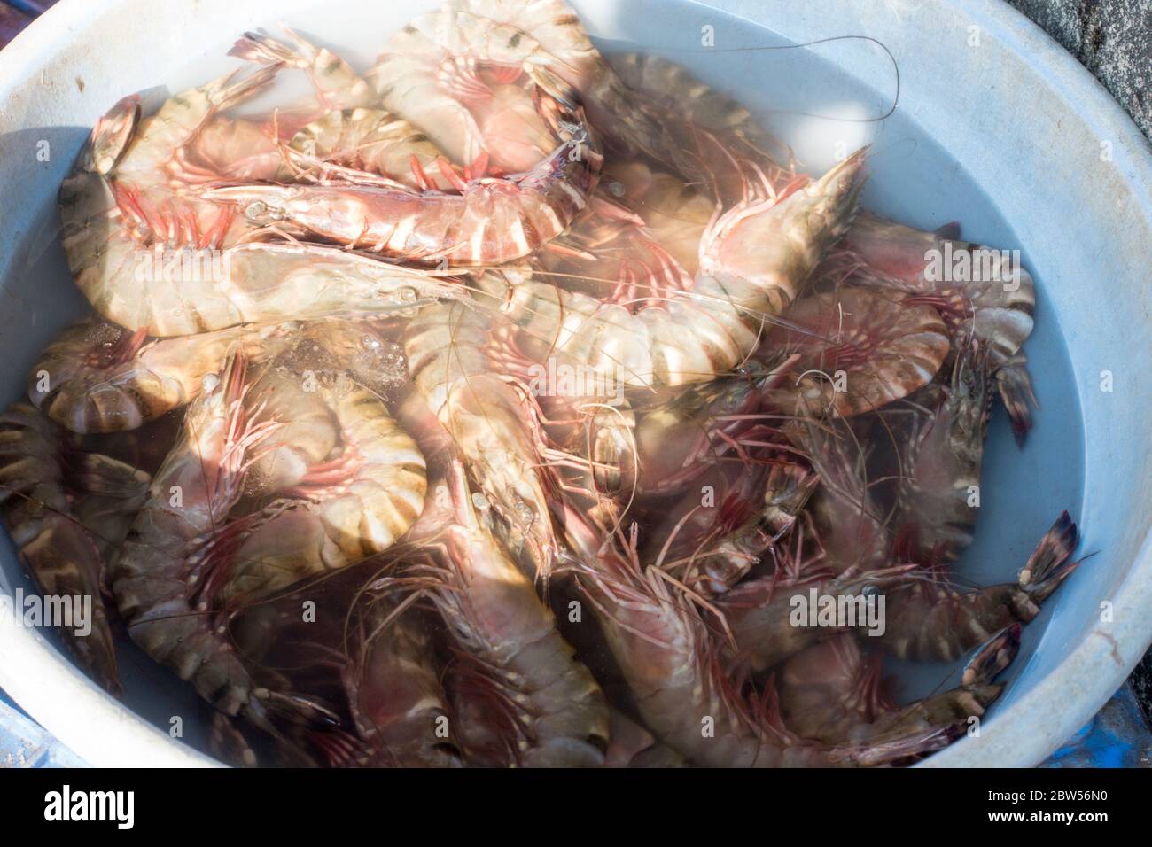 Chapora jetty hi-res stock photography and images - Alamy