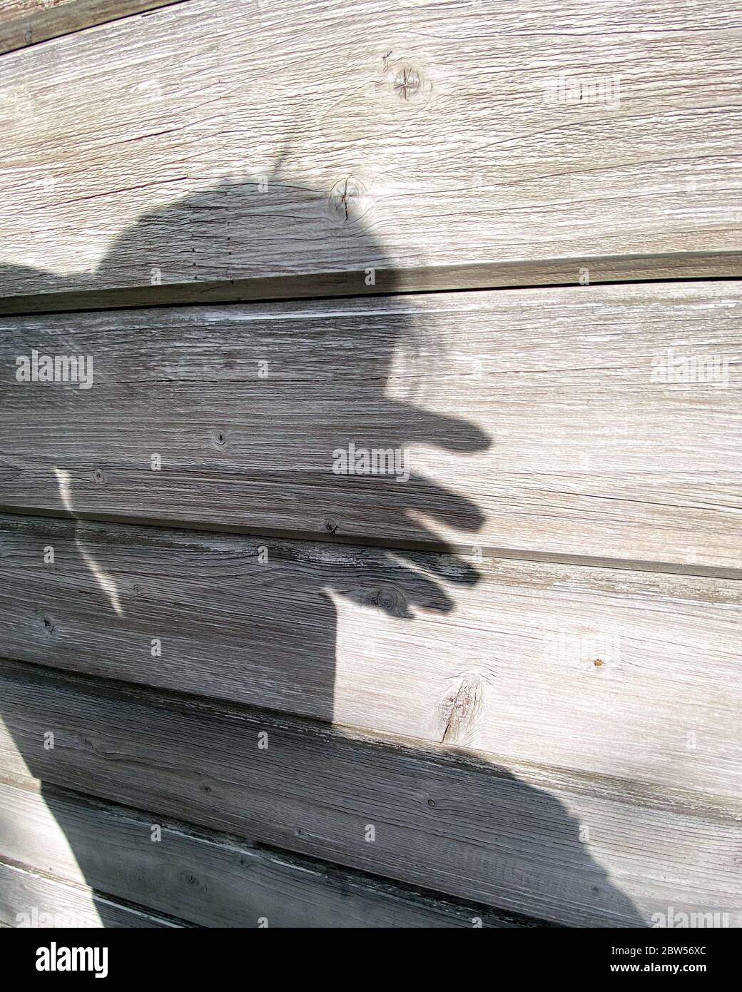 Shadow of Woman Silhouette on Old Wooden Background. Character Showing ...