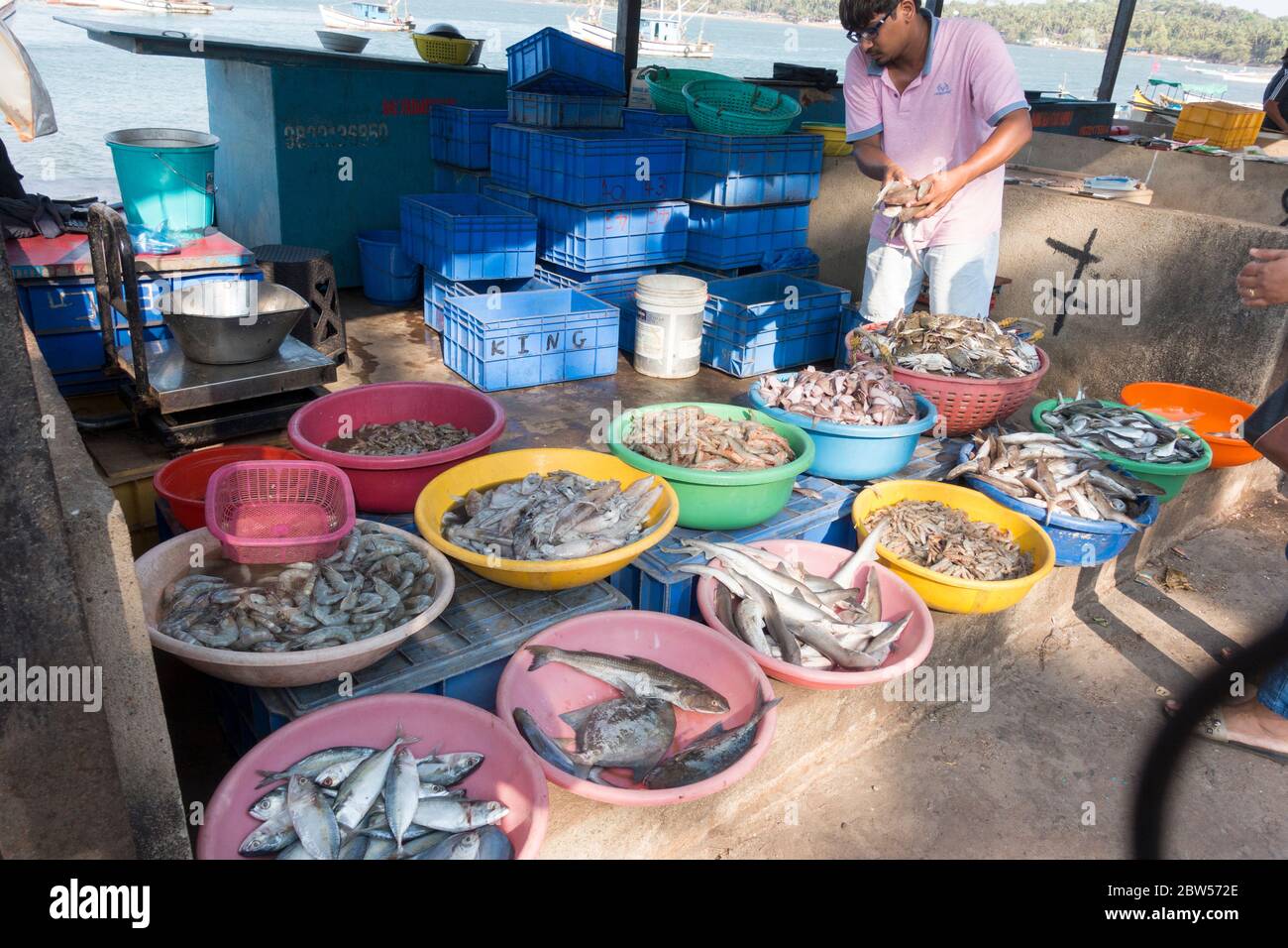 Chapora estuary hi-res stock photography and images - Alamy