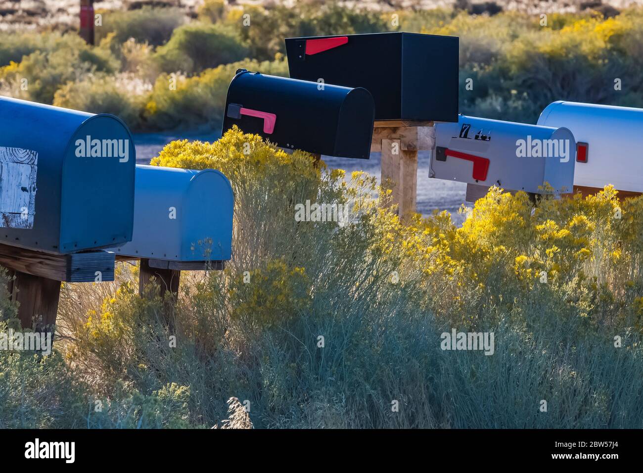 Line of mailboxes along a country road near Fallon, Nevada, USA [No ...