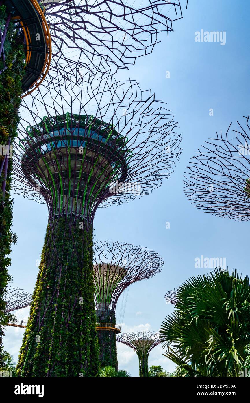 Singapore sky trees hi-res stock photography and images - Alamy