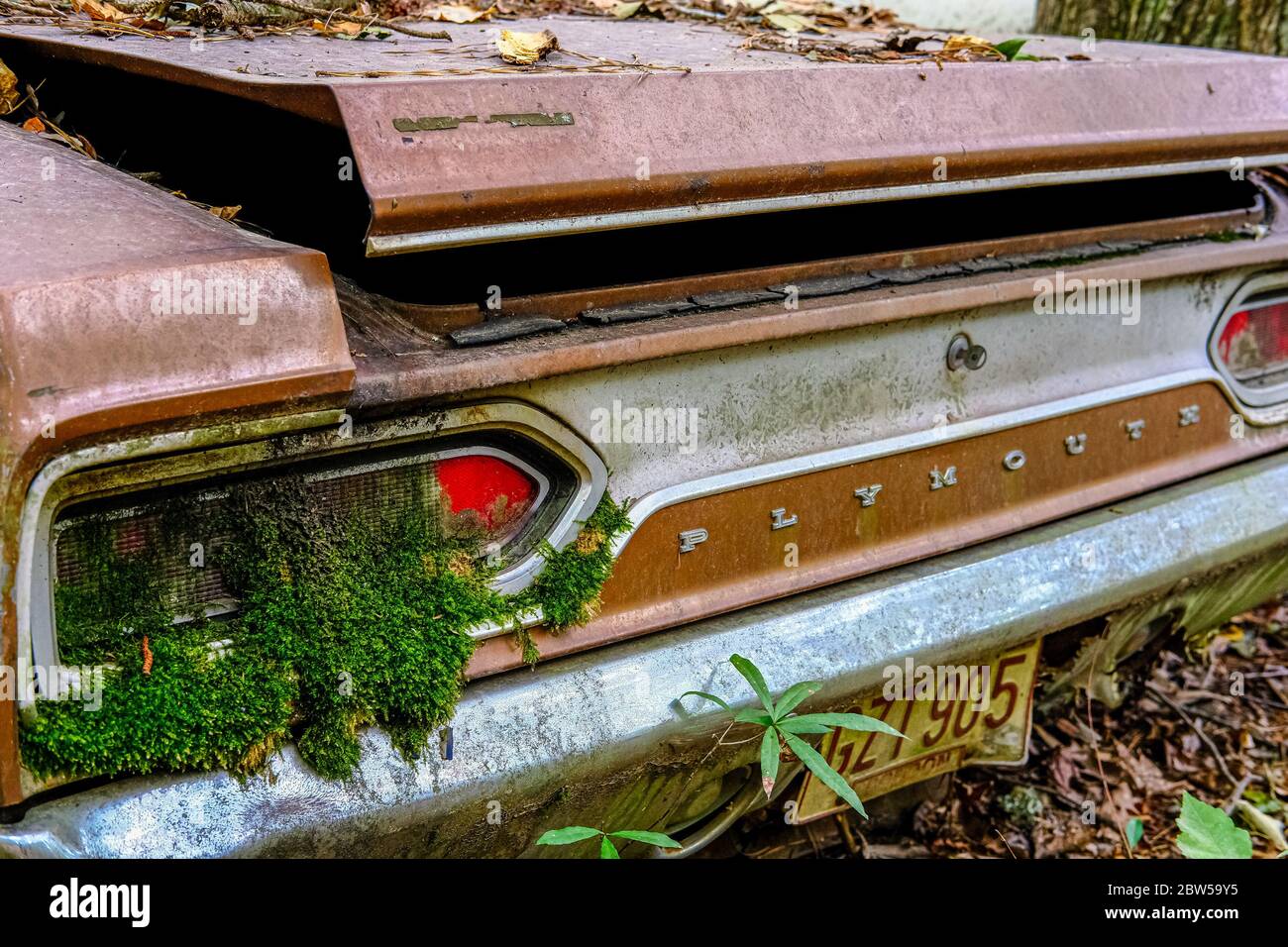 Moss covered car hi-res stock photography and images - Alamy