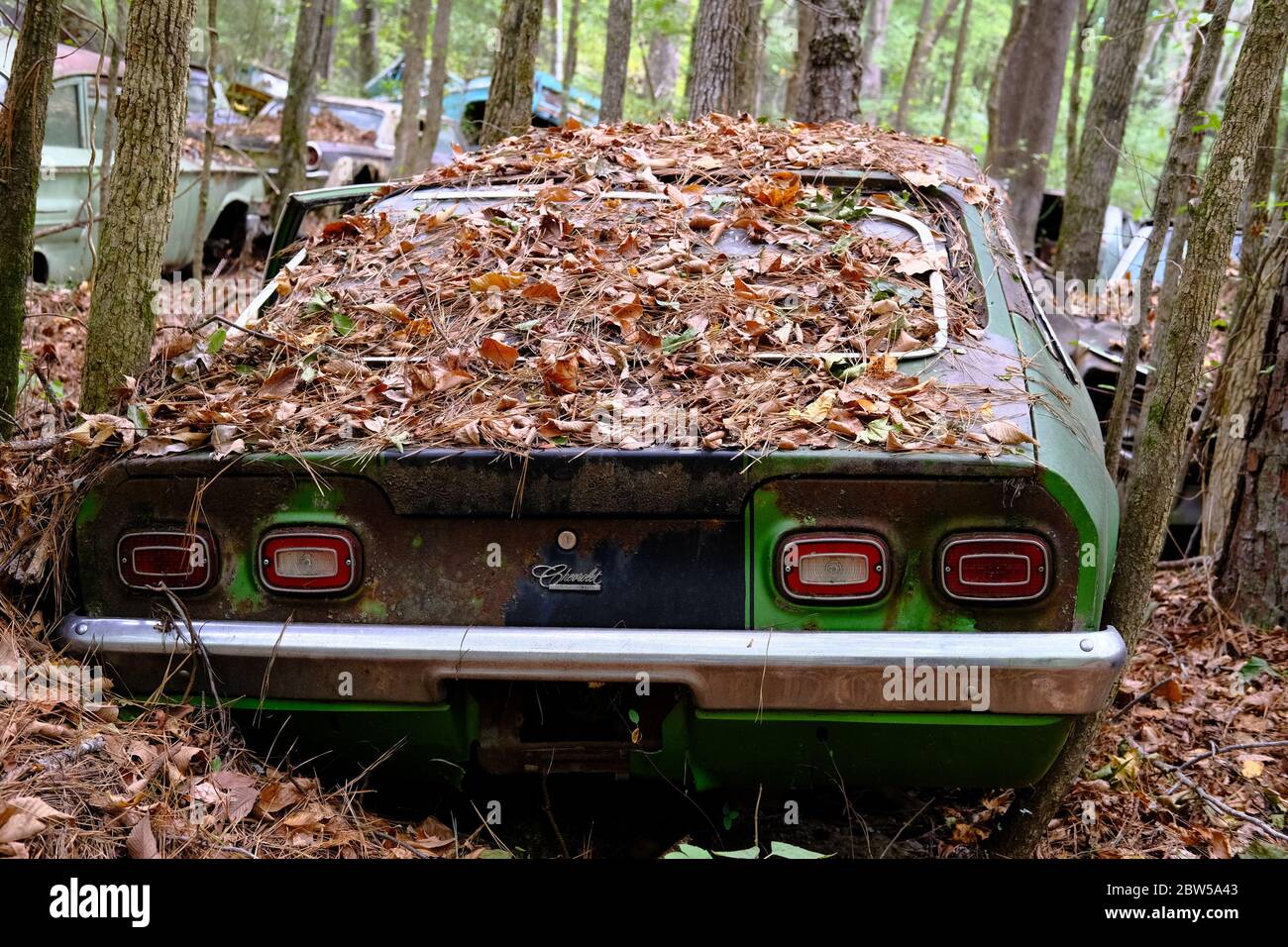 Rear End of Green Vega Stock Photo - Alamy