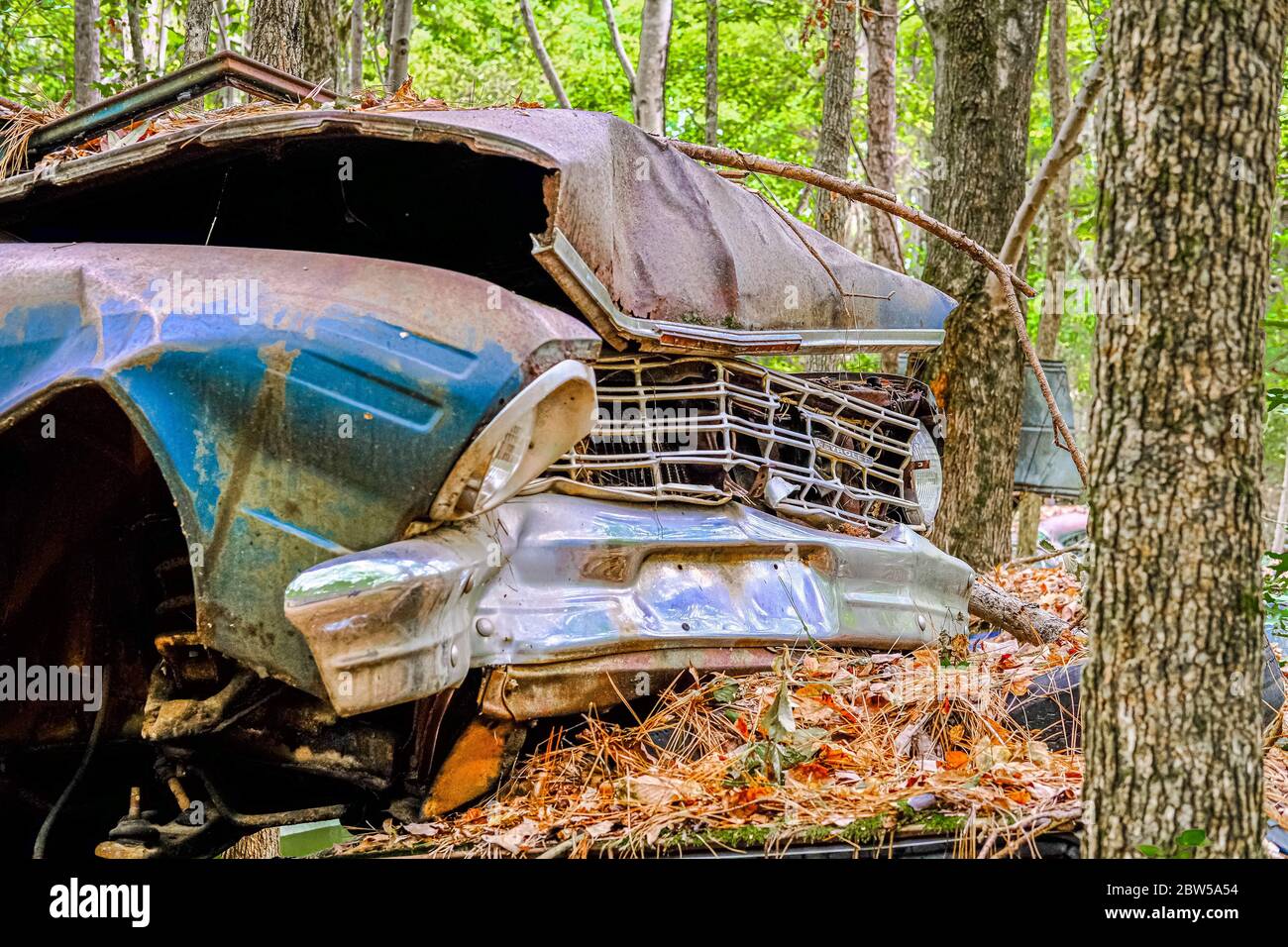 Smashed Front End Stock Photo - Alamy