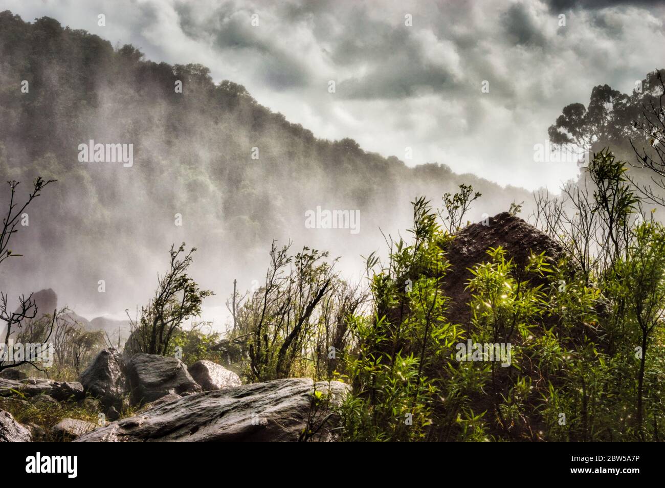 Athirappilly waterfalls of Trissur Kerala Stock Photo - Alamy
