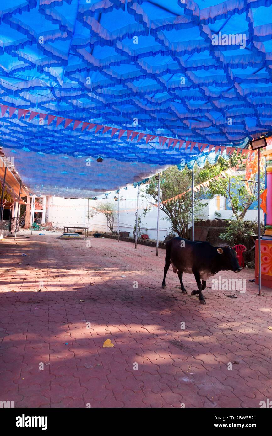 Chapora village hi-res stock photography and images - Alamy