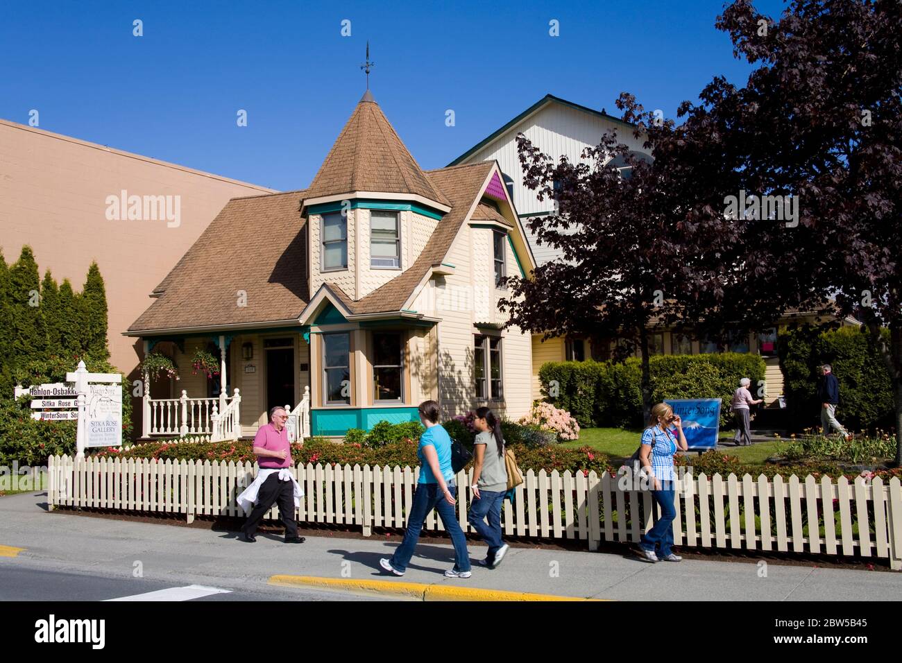 Sitka rose hi-res stock photography and images - Alamy