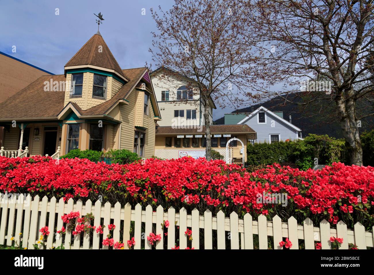 Sitka Rose Gallery, Sitka, Alaska, USA Stock Photo - Alamy