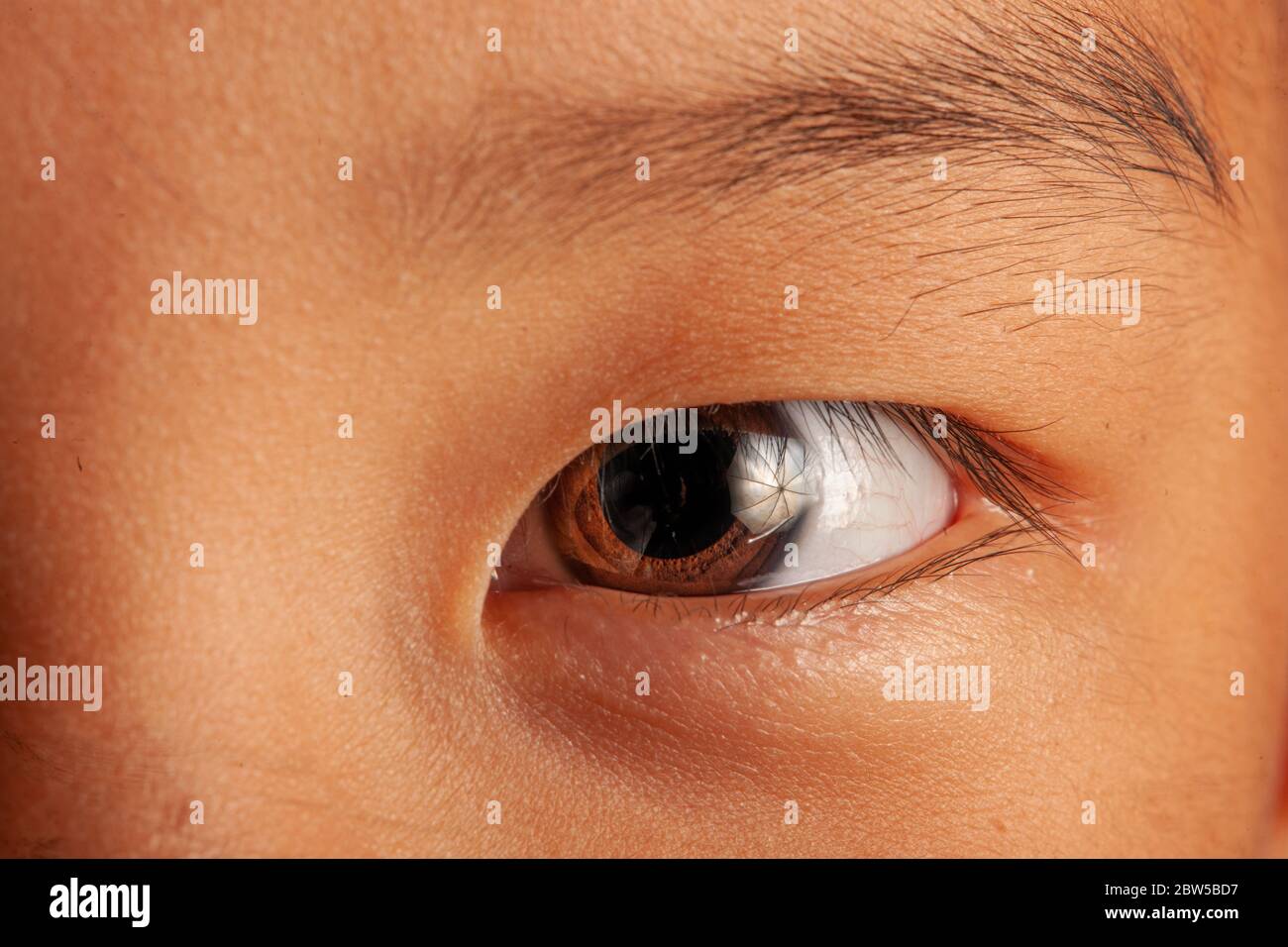 A single human eye hi-res stock photography and images - Alamy