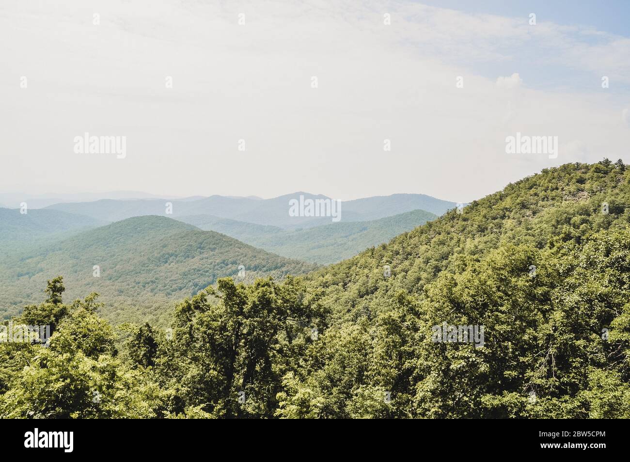 Green overgrown chain of hills in South Tyrol Stock Photo - Alamy