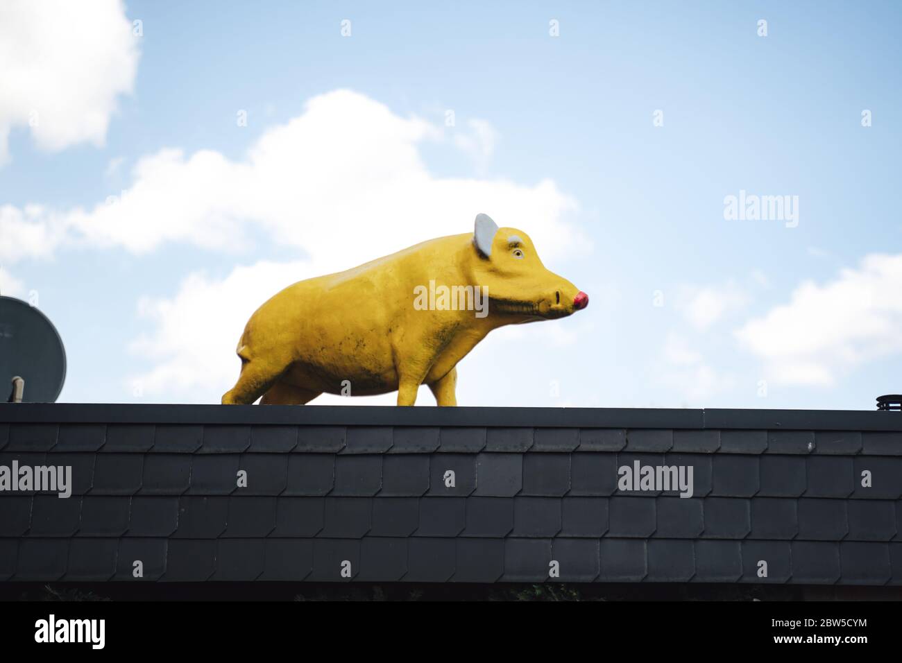 Yellow pig statuette on black roof against blue sky with clouds ...