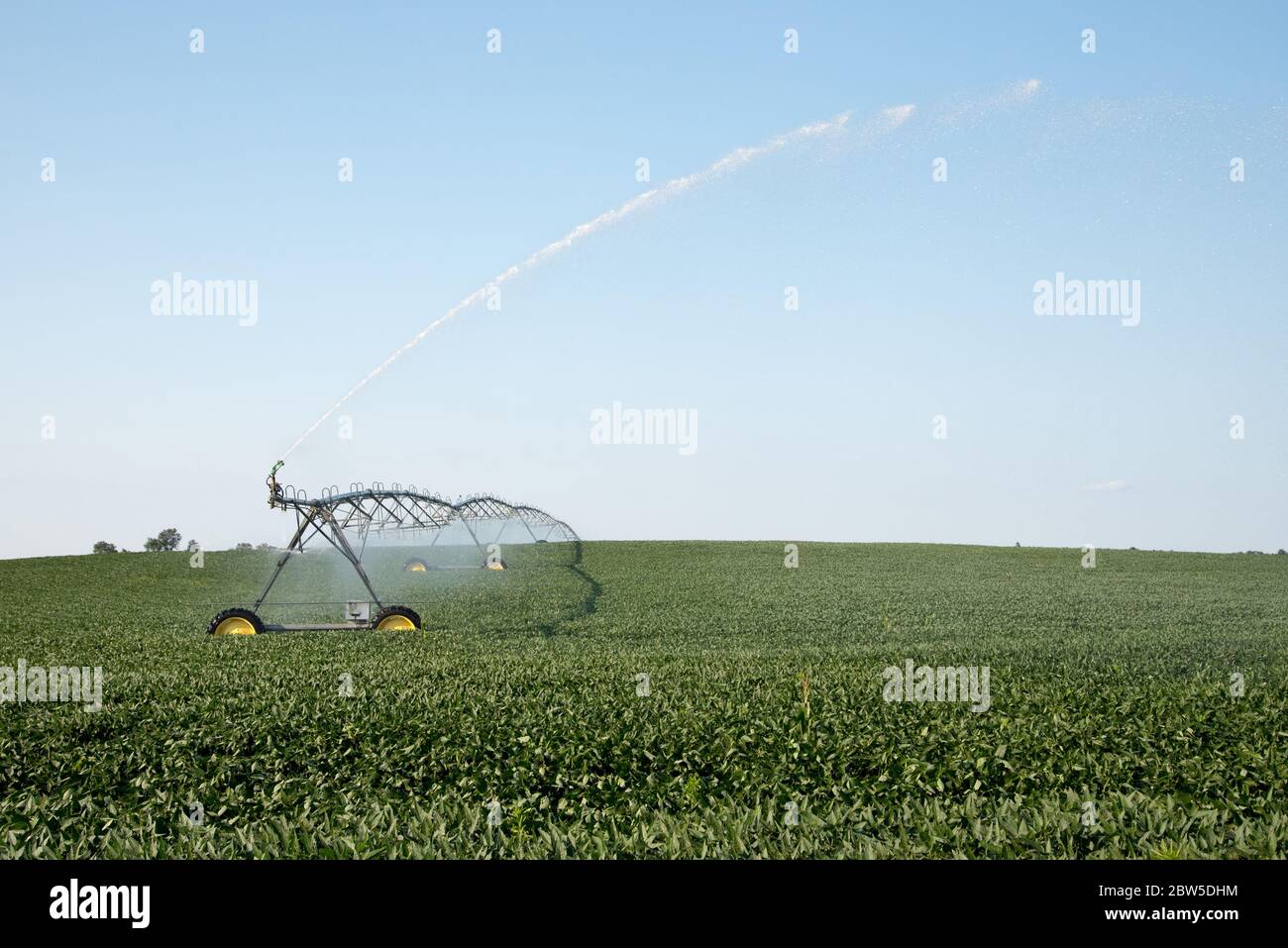 irrigation of farm Stock Photo - Alamy