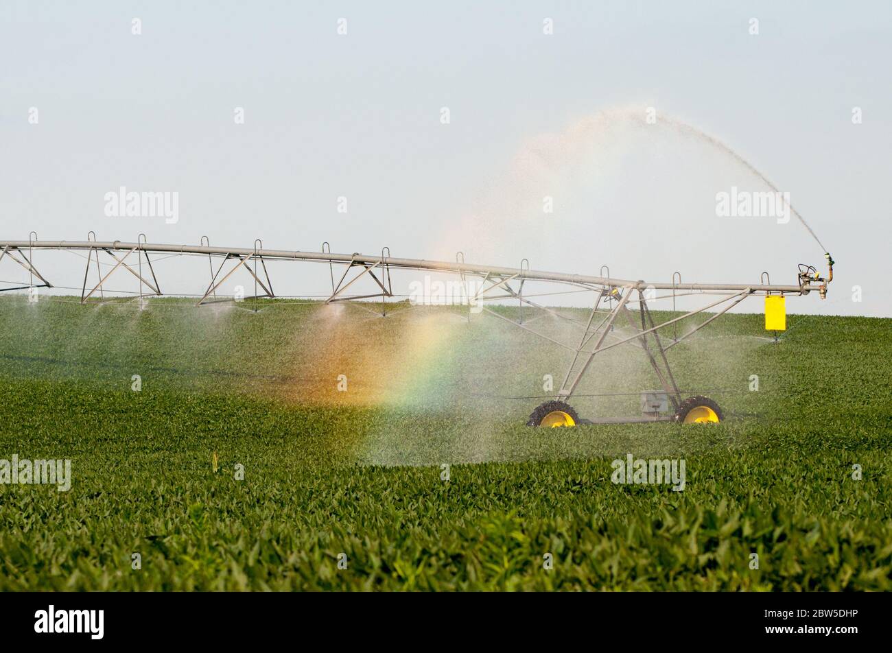 irrigation of farm Stock Photo - Alamy