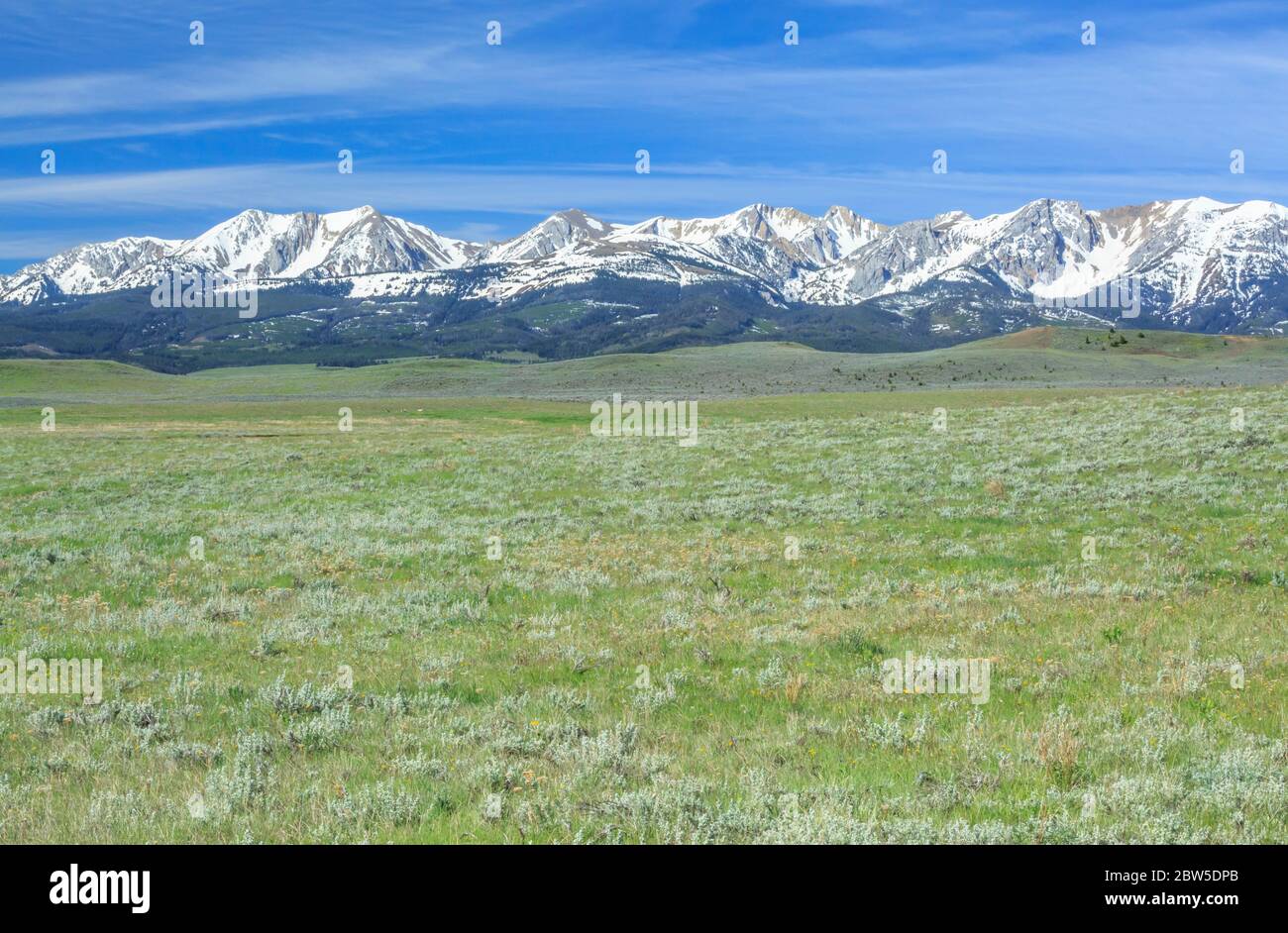 Rangeland hi-res stock photography and images - Alamy