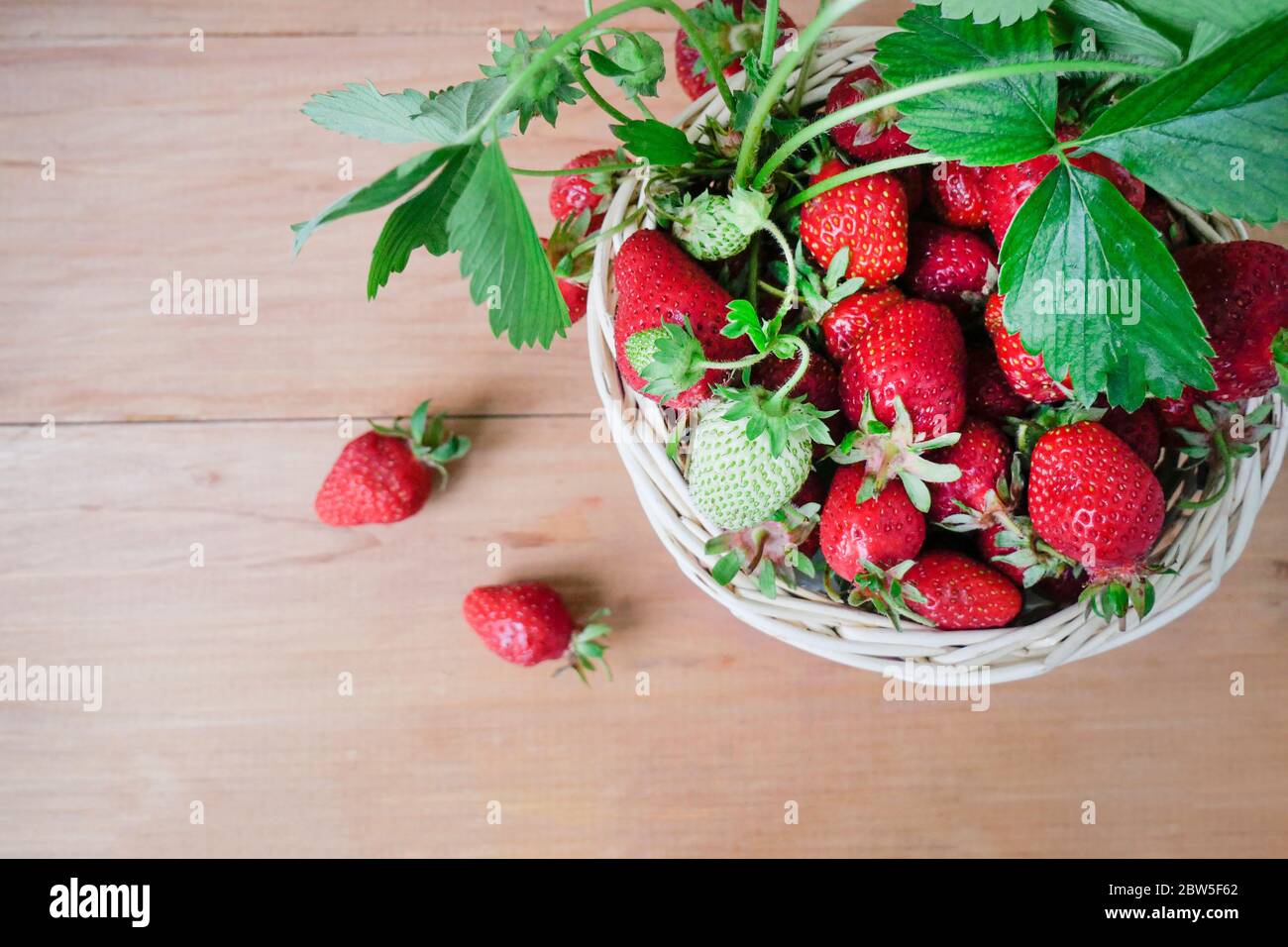 Fresh strawberries. Strawberry background. Macro texture. big, big ...