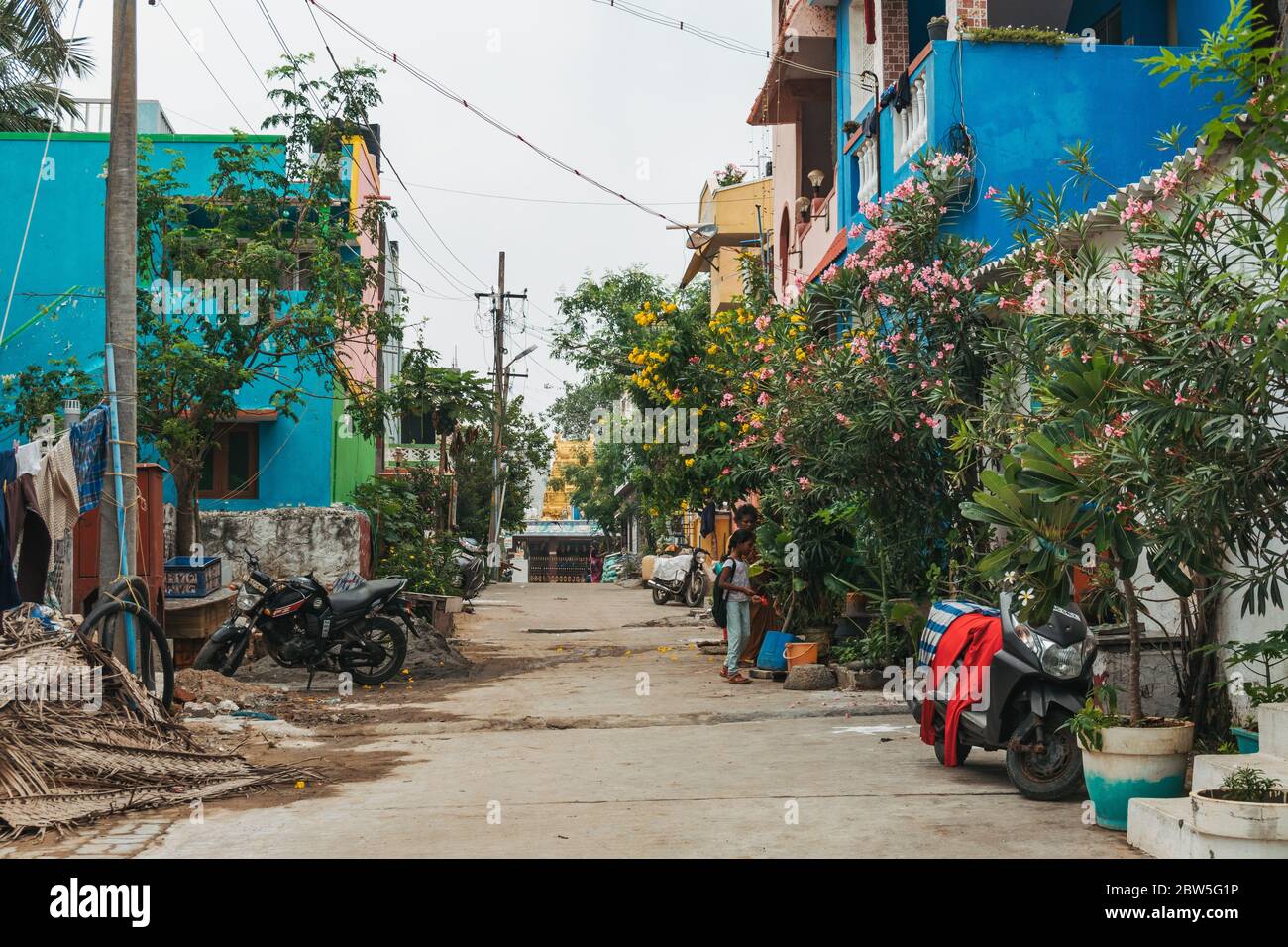 Colourful trees in bloom india hi-res stock photography and images - Alamy